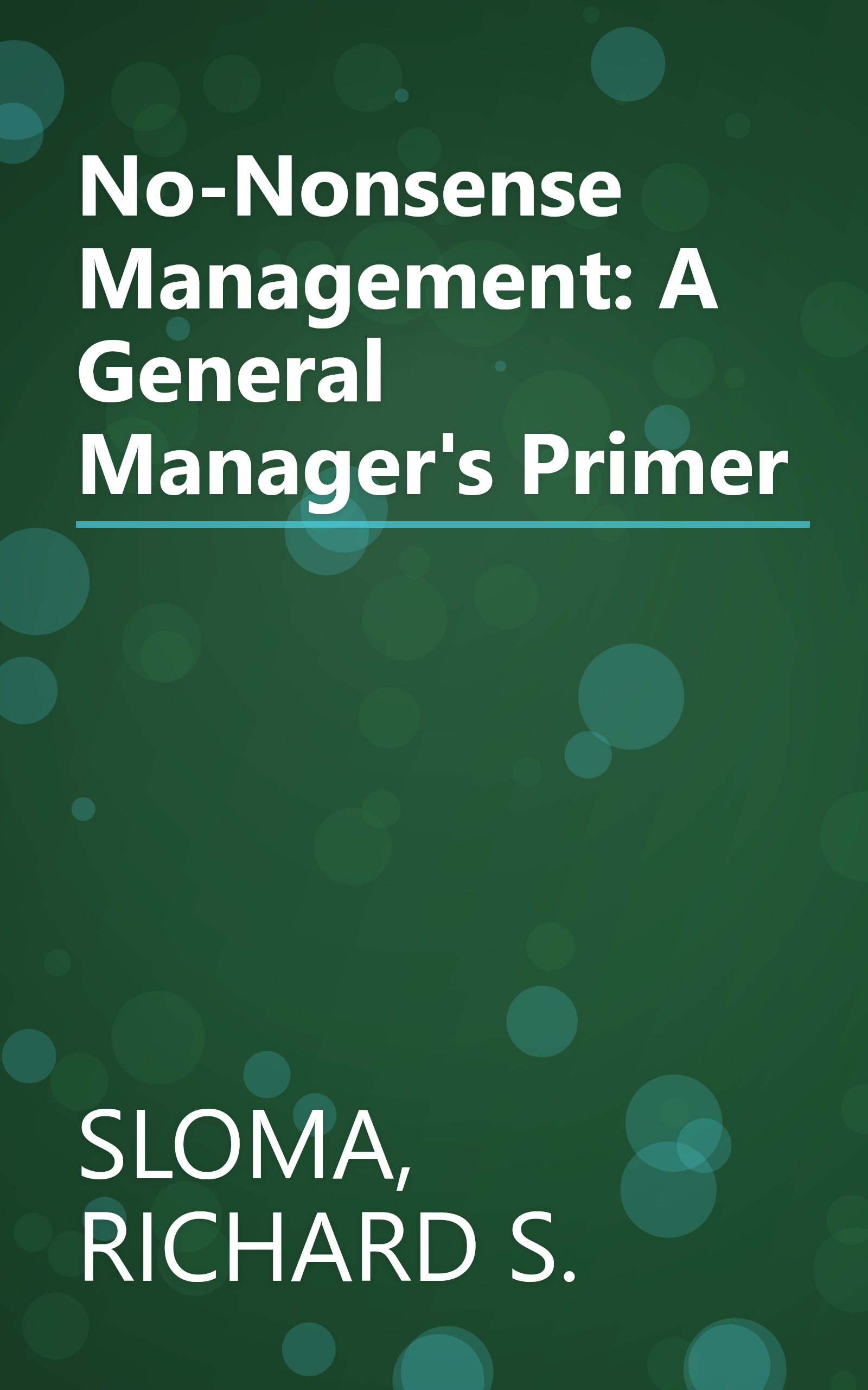 No-Nonsense Management: A General Manager's Primer book cover