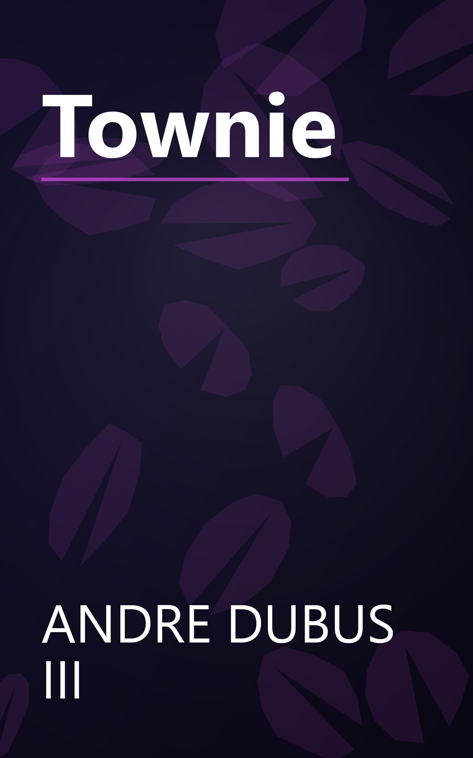 Townie book cover