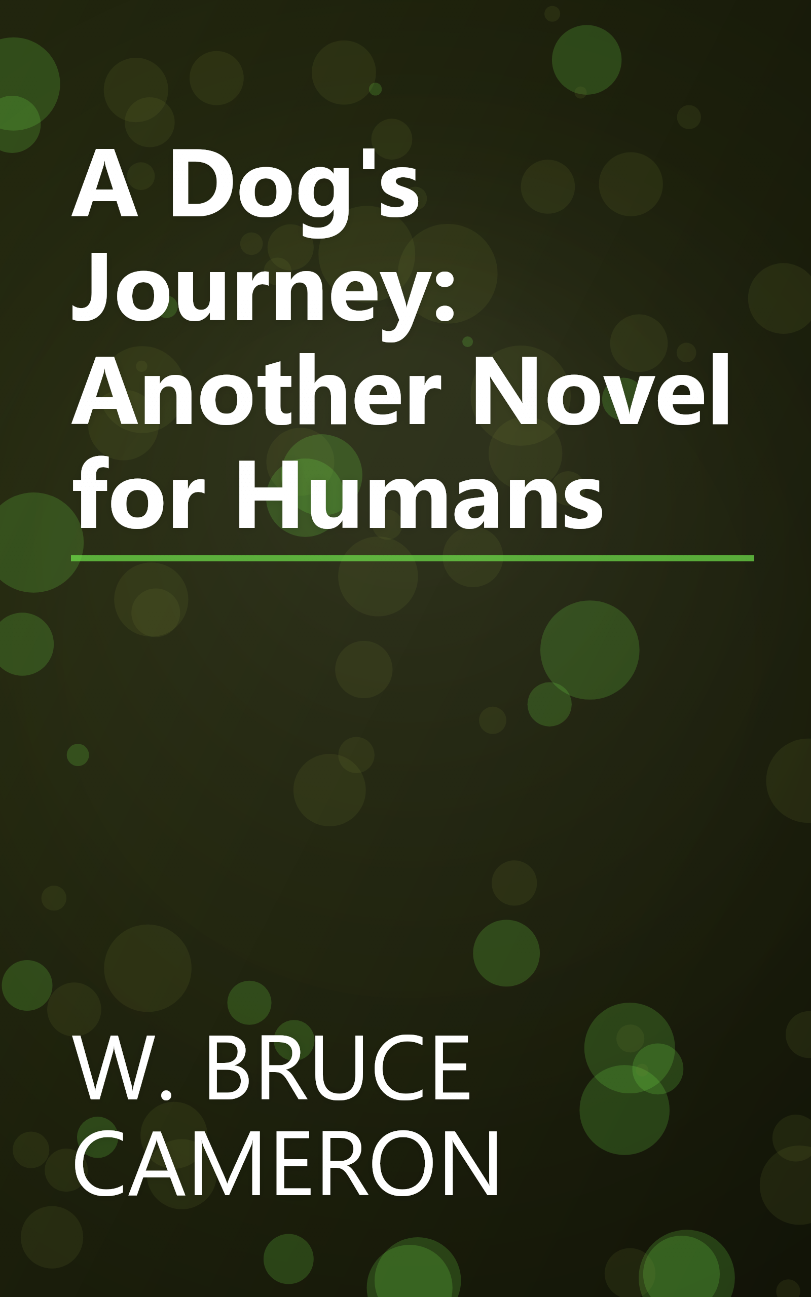 A Dog's Journey: Another Novel for Humans book cover