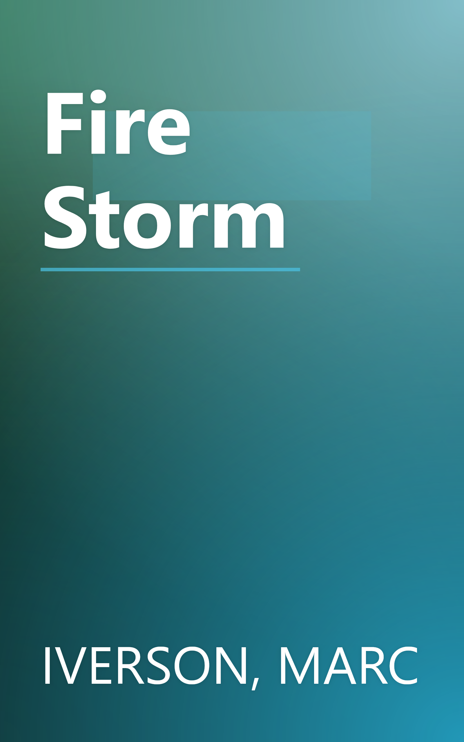 Fire Storm book cover