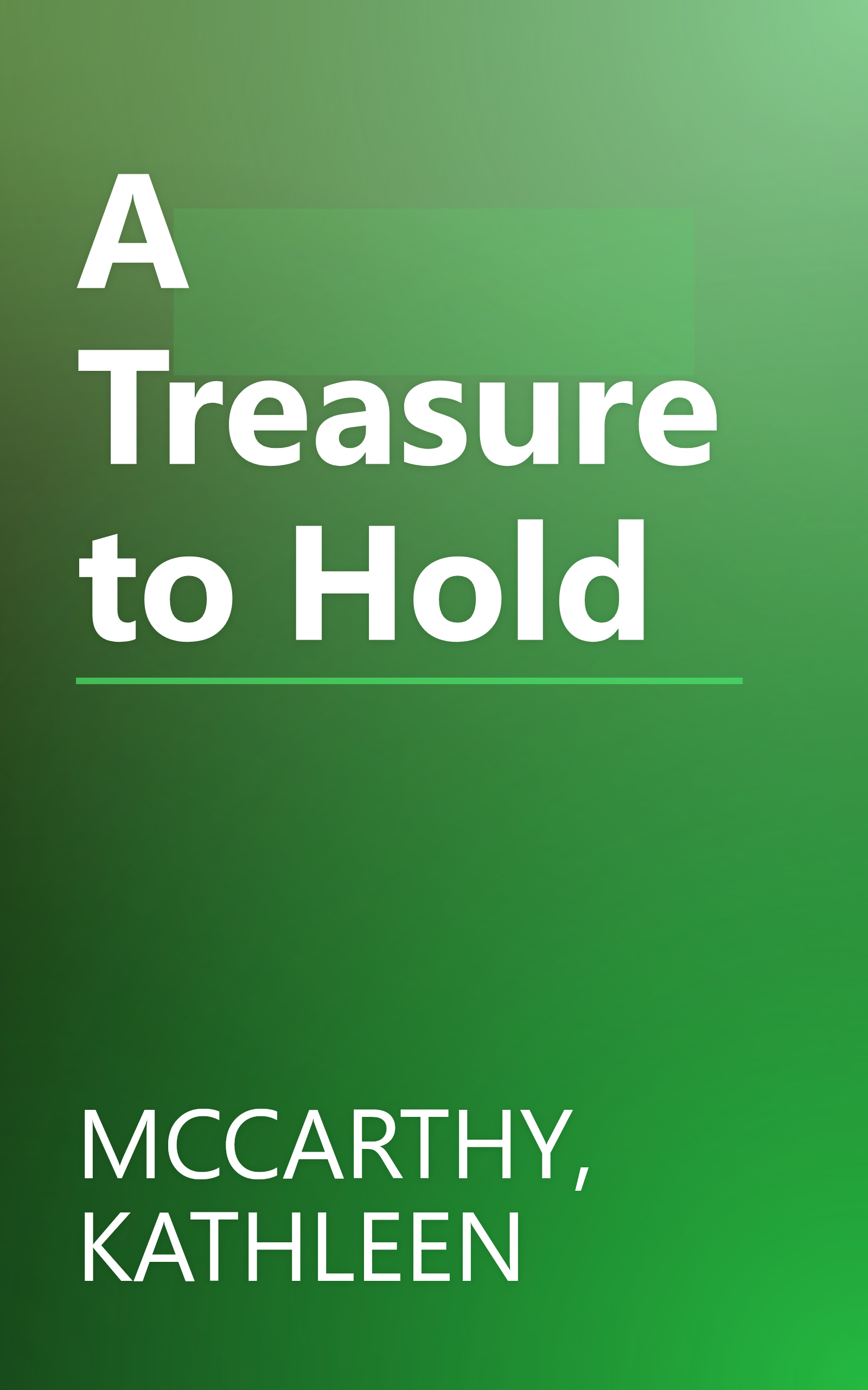 A Treasure to Hold book cover