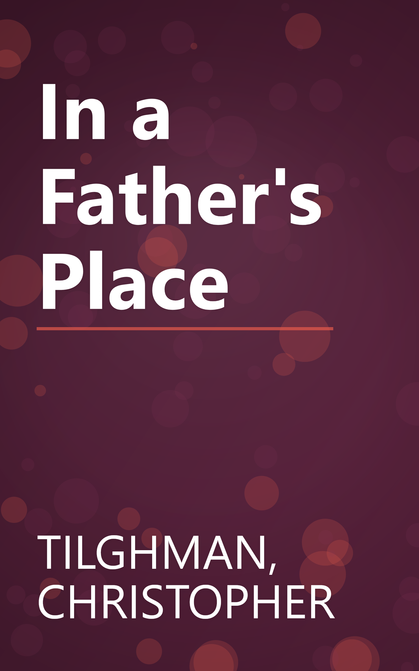 In a Father's Place book cover