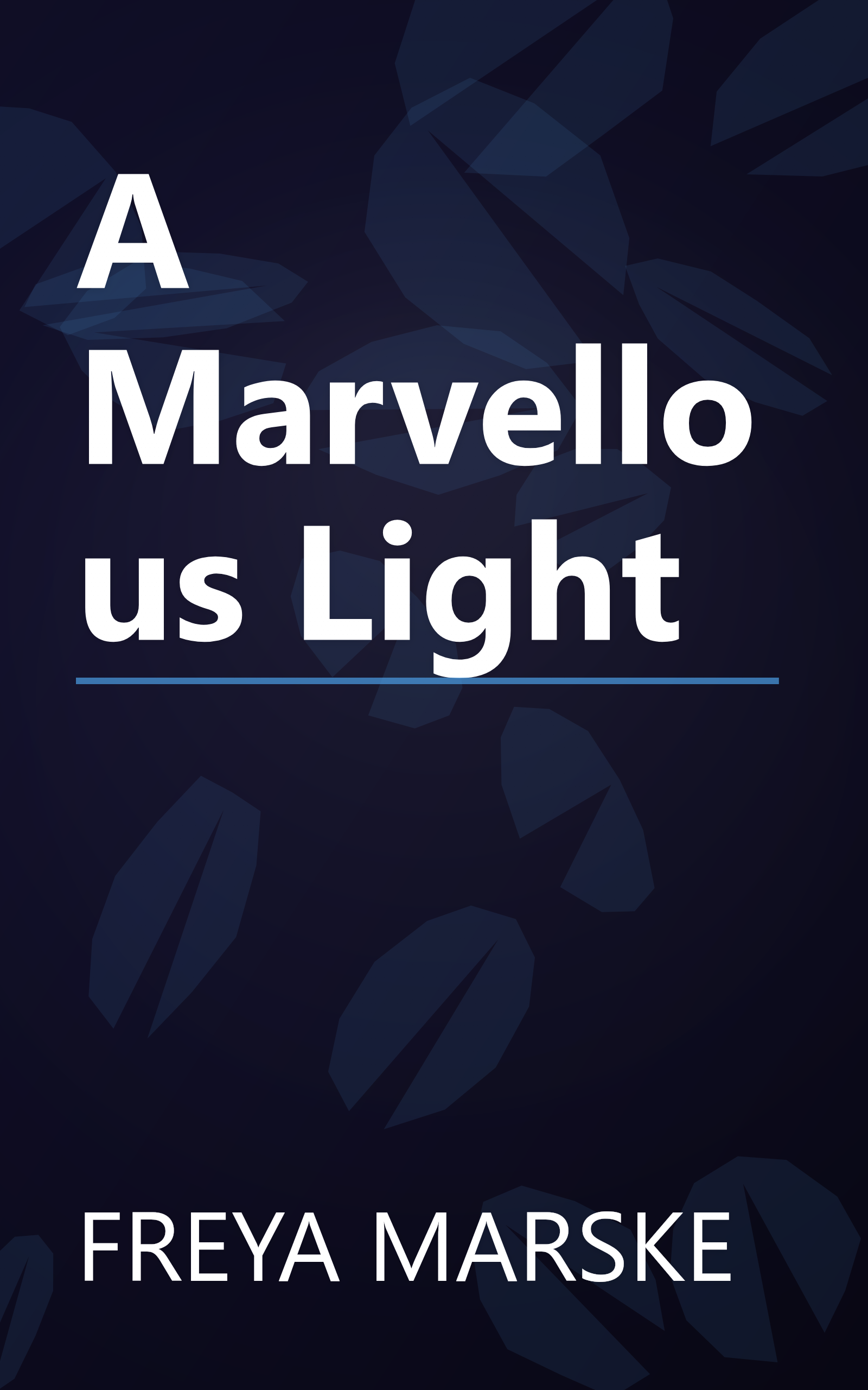 A Marvellous Light book cover