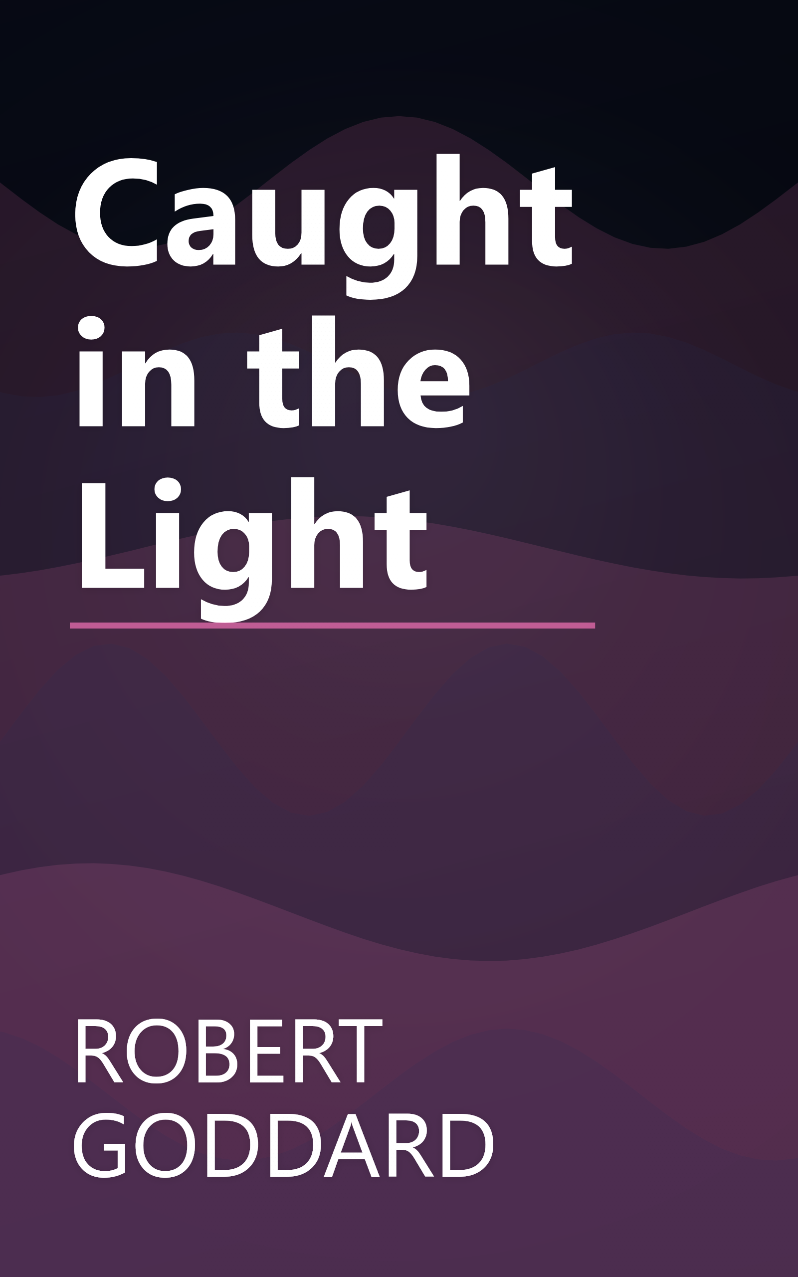 Caught in the Light book cover