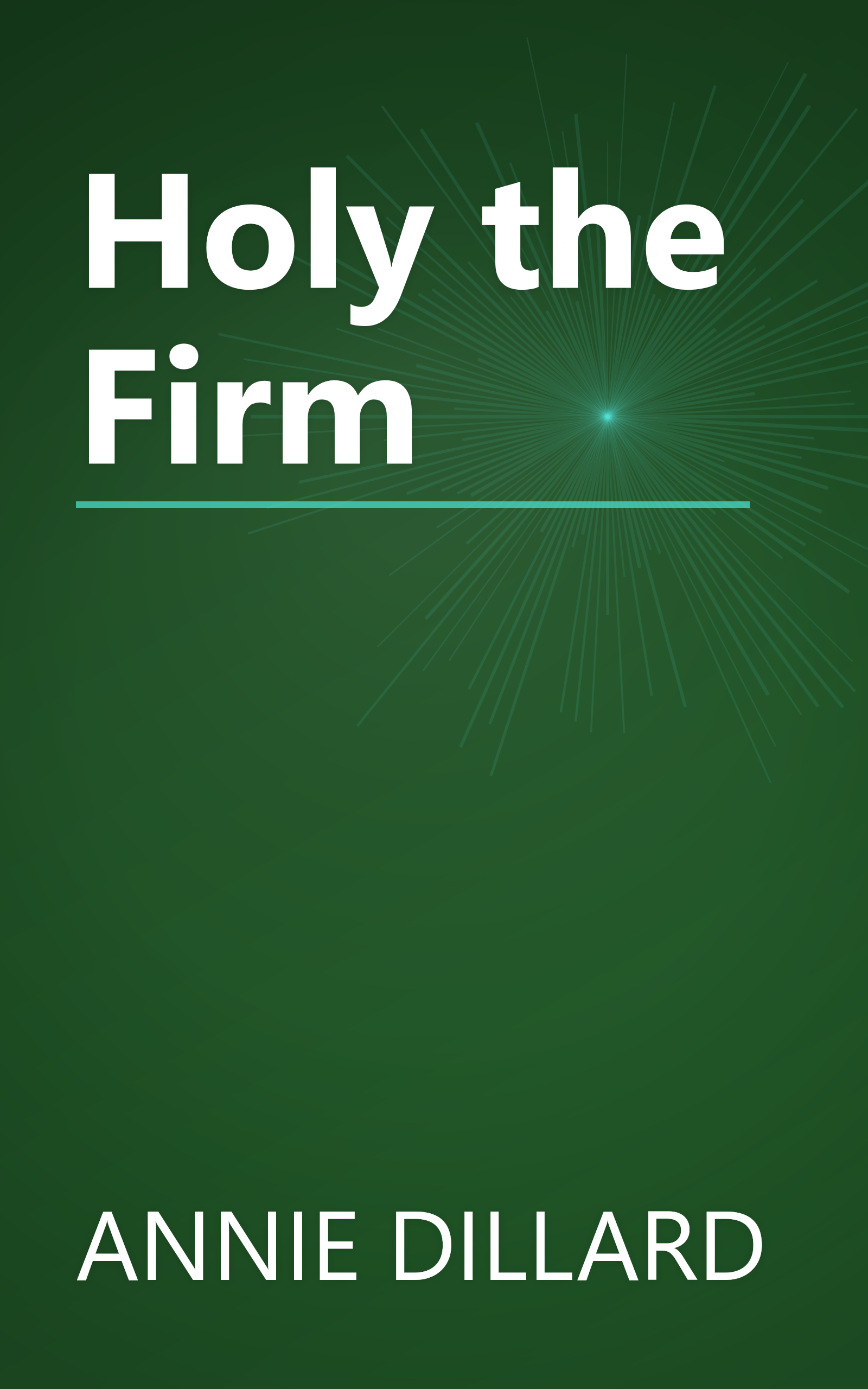 Holy the Firm book cover