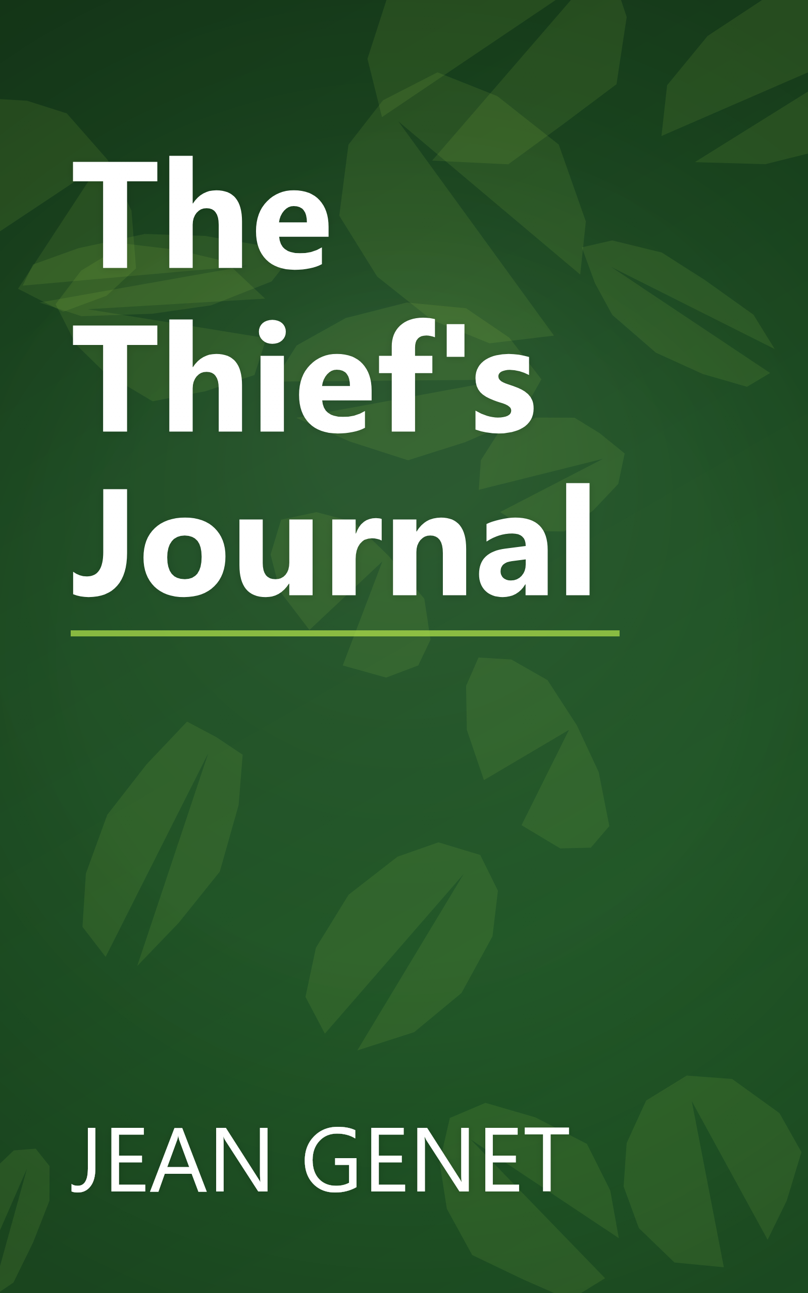 The Thief's Journal book cover