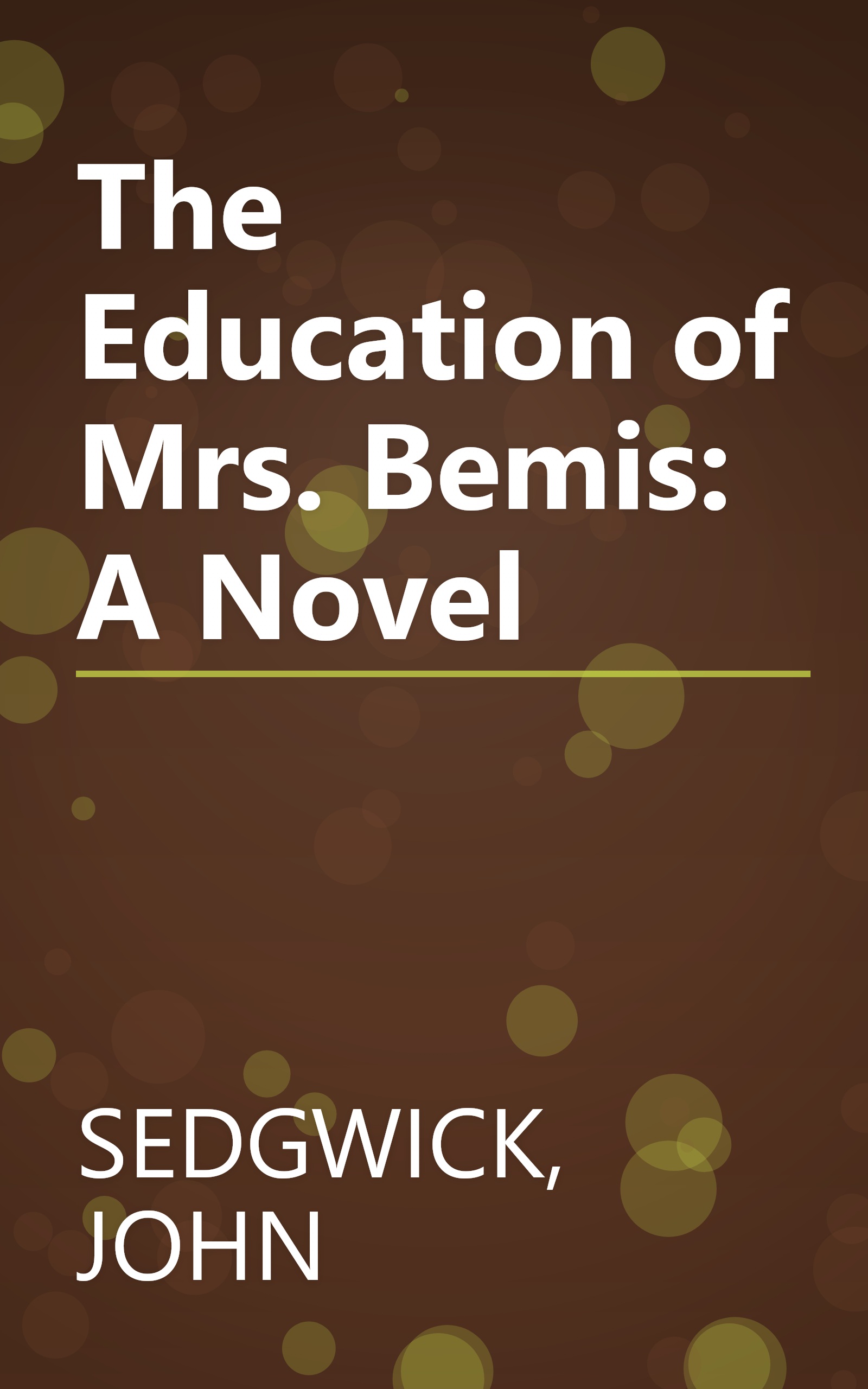 The Education of Mrs. Bemis: A Novel book cover