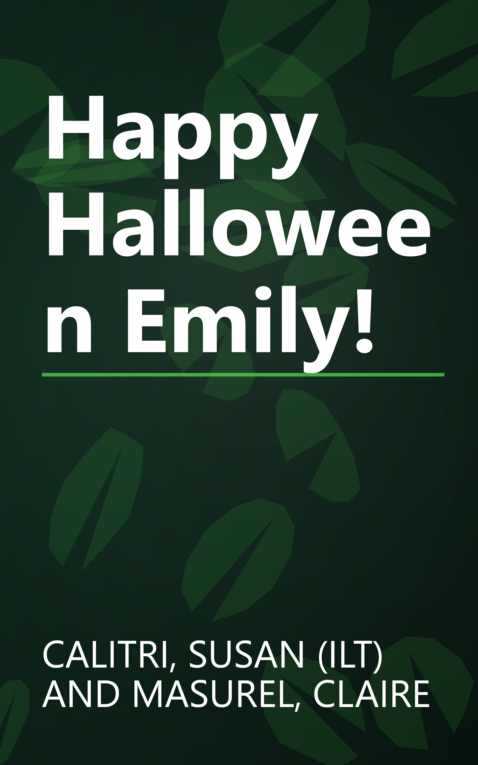 Happy Halloween Emily! book cover