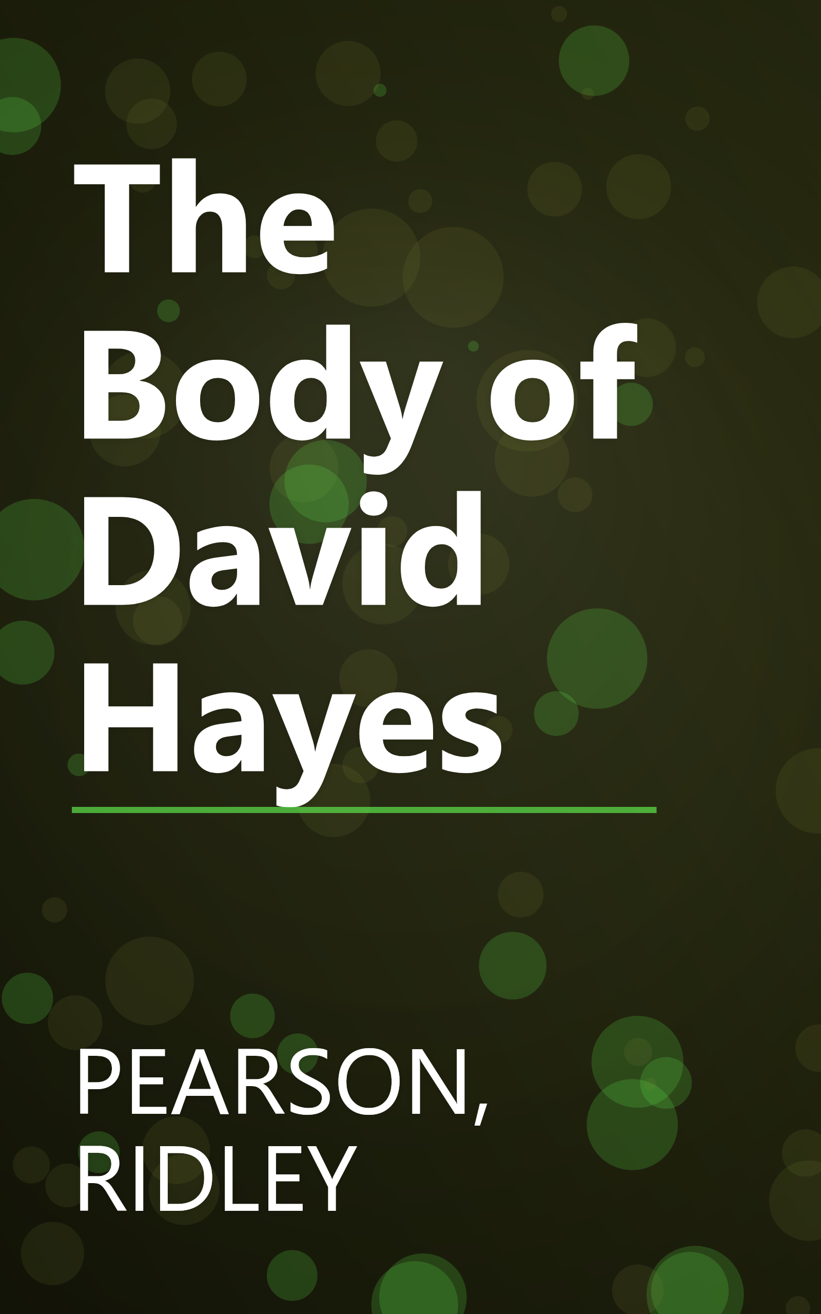 The Body of David Hayes book cover
