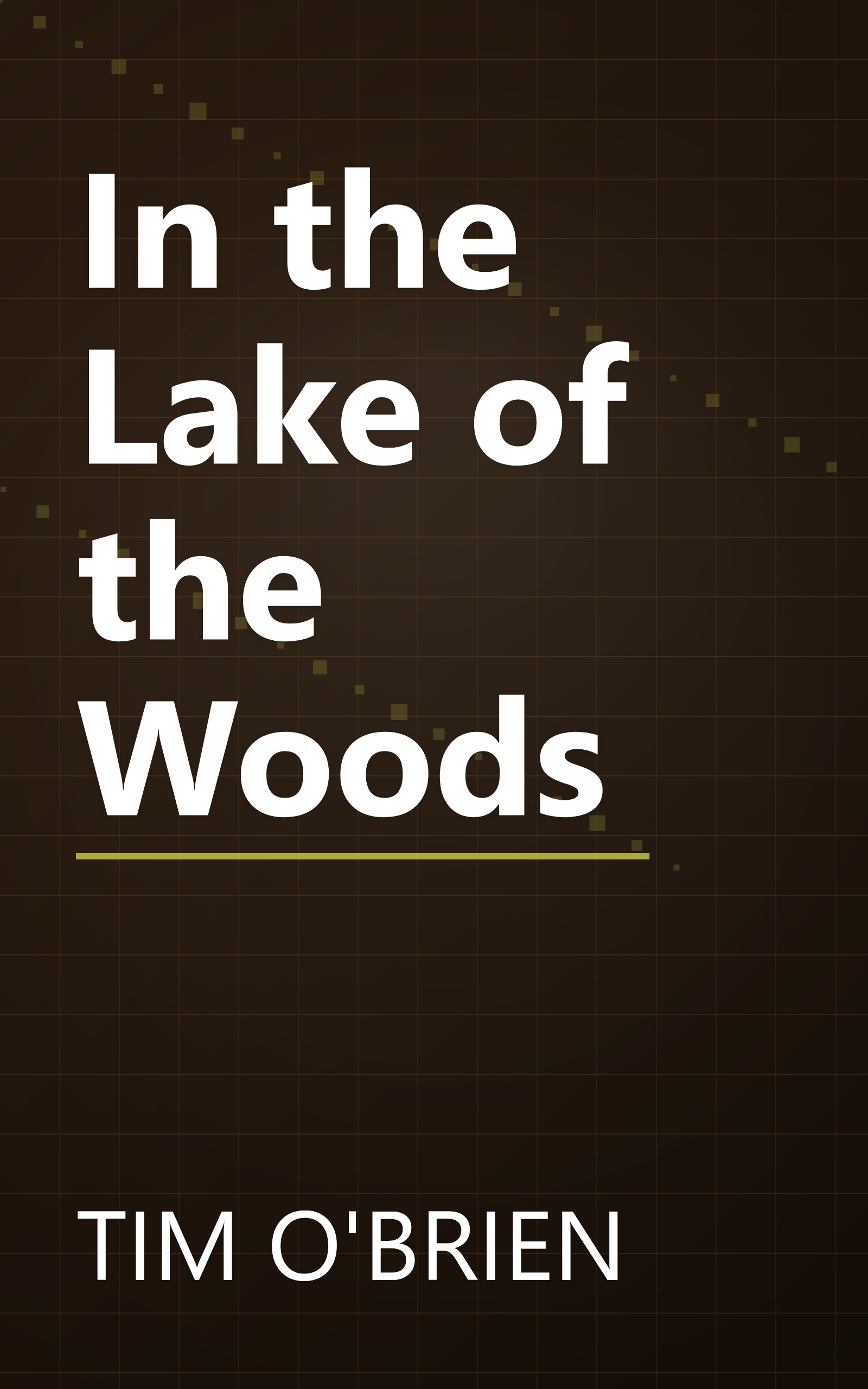 In the Lake of the Woods book cover