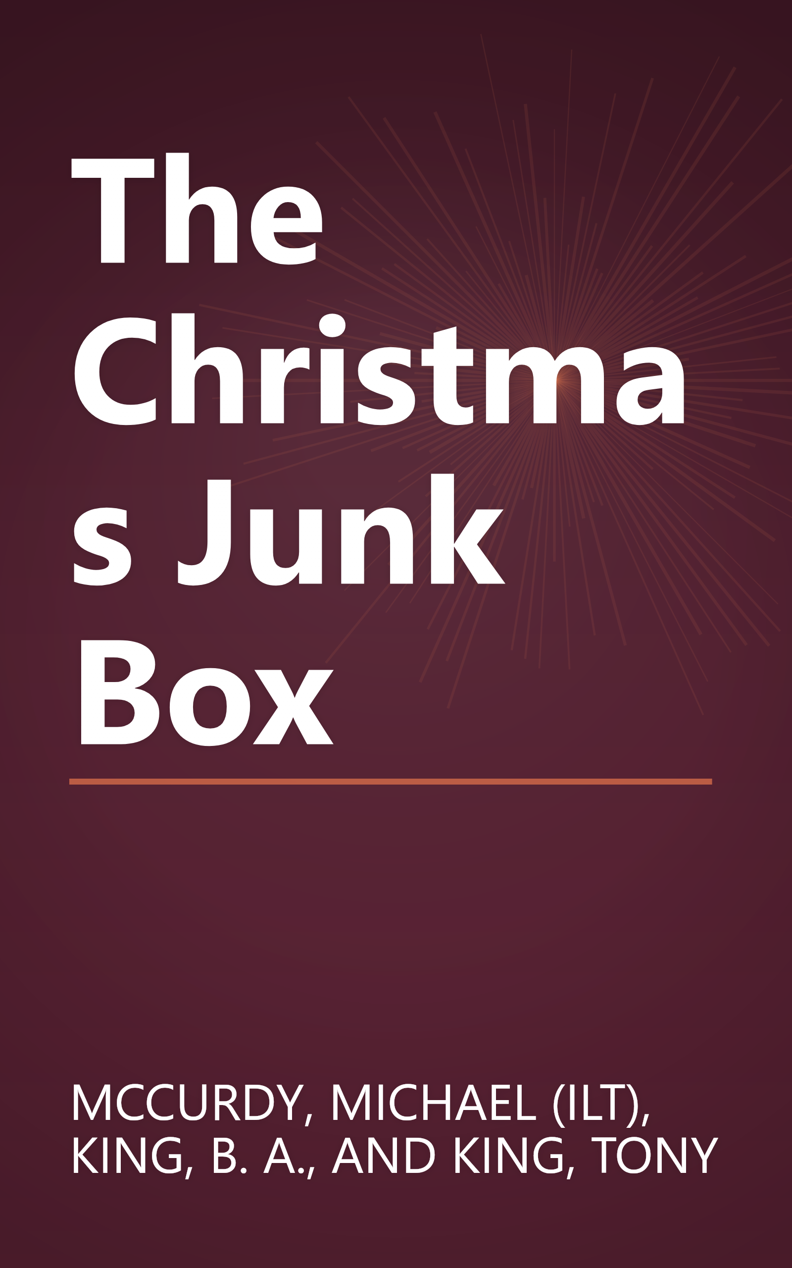 The Christmas Junk Box book cover