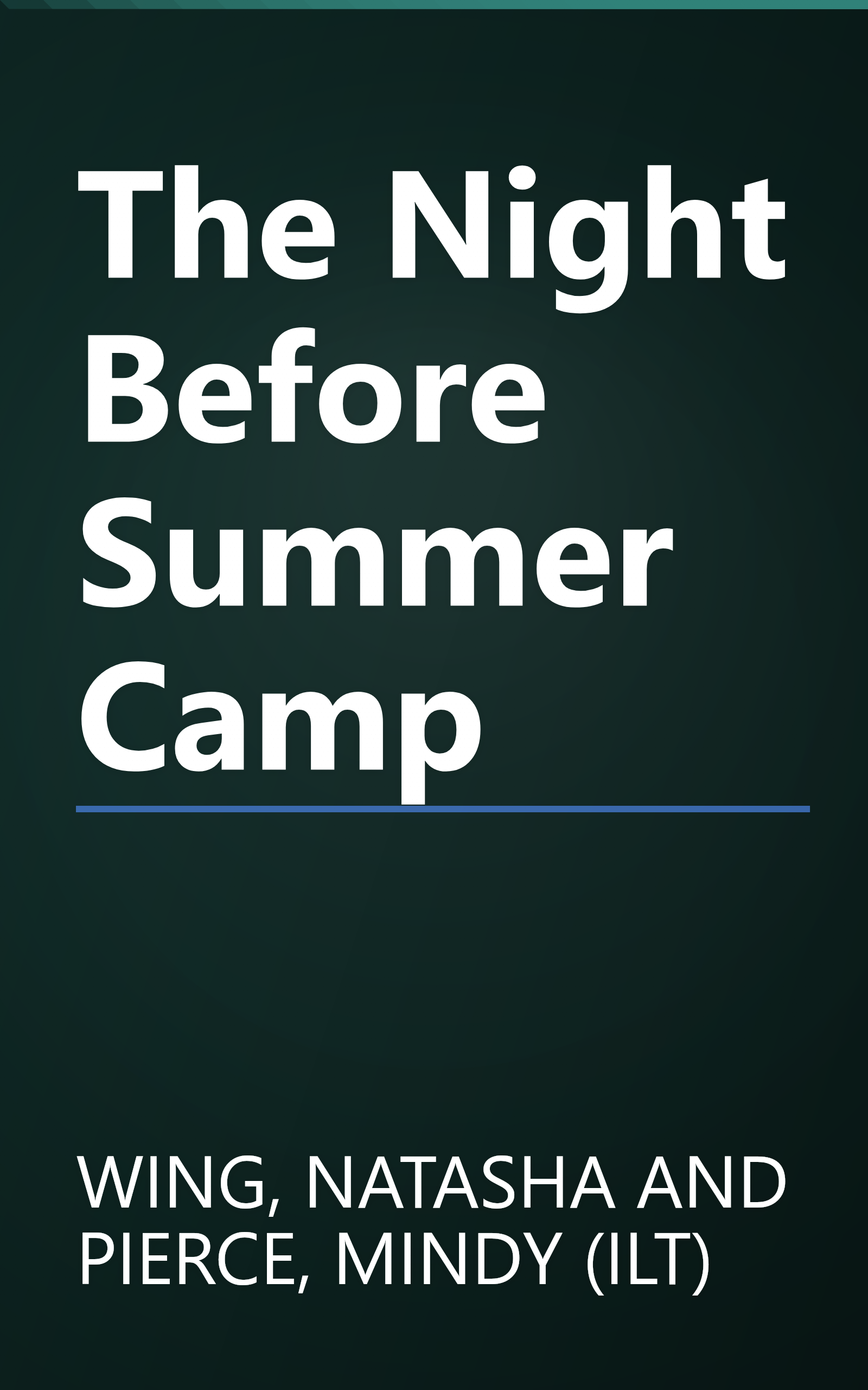 The Night Before Summer Camp book cover