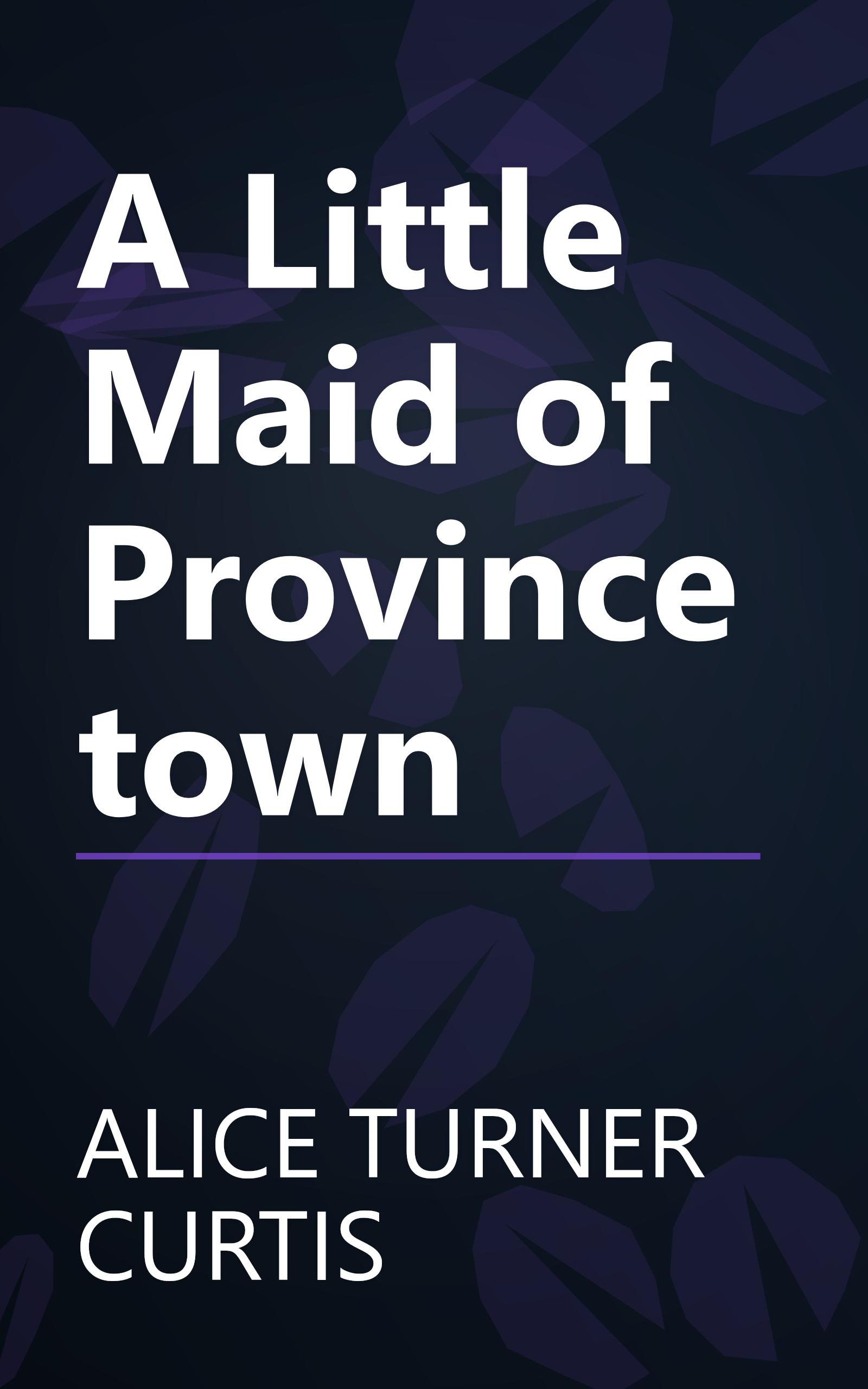 A Little Maid of Provincetown book cover