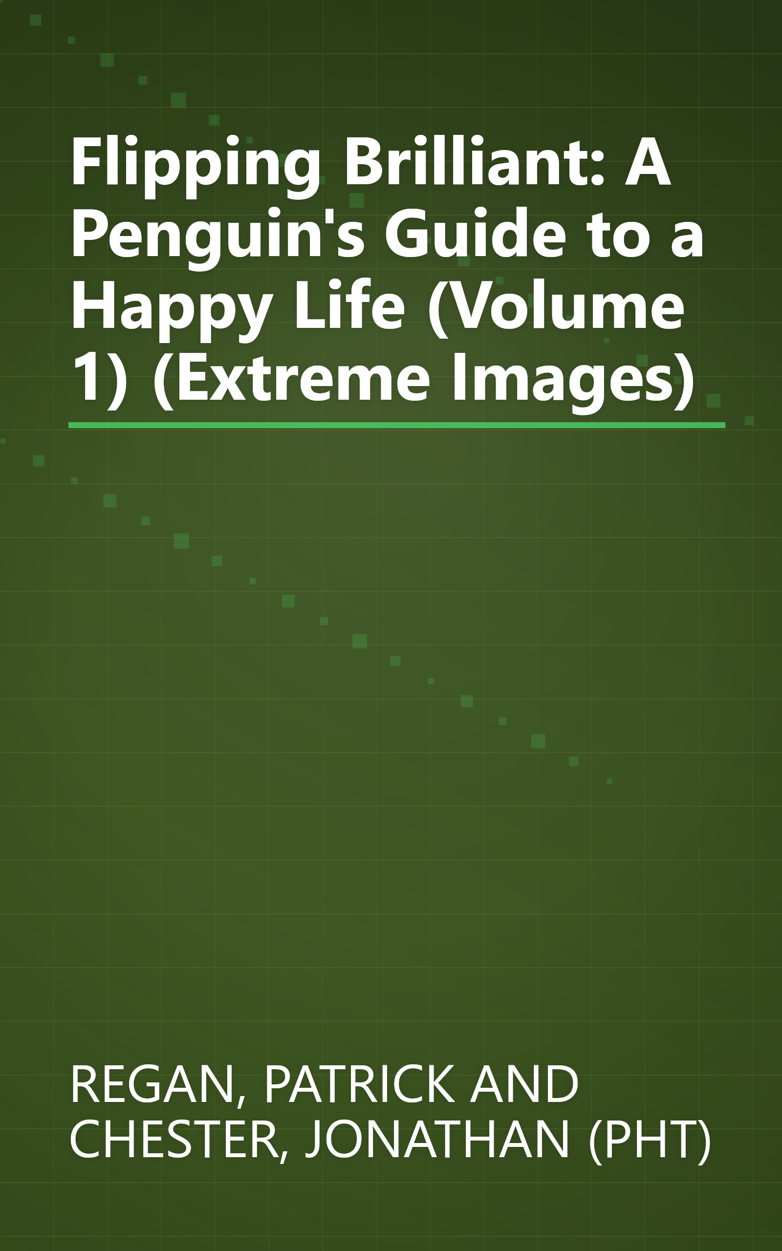 Flipping Brilliant: A Penguin's Guide to a Happy Life (Volume 1) (Extreme Images) book cover