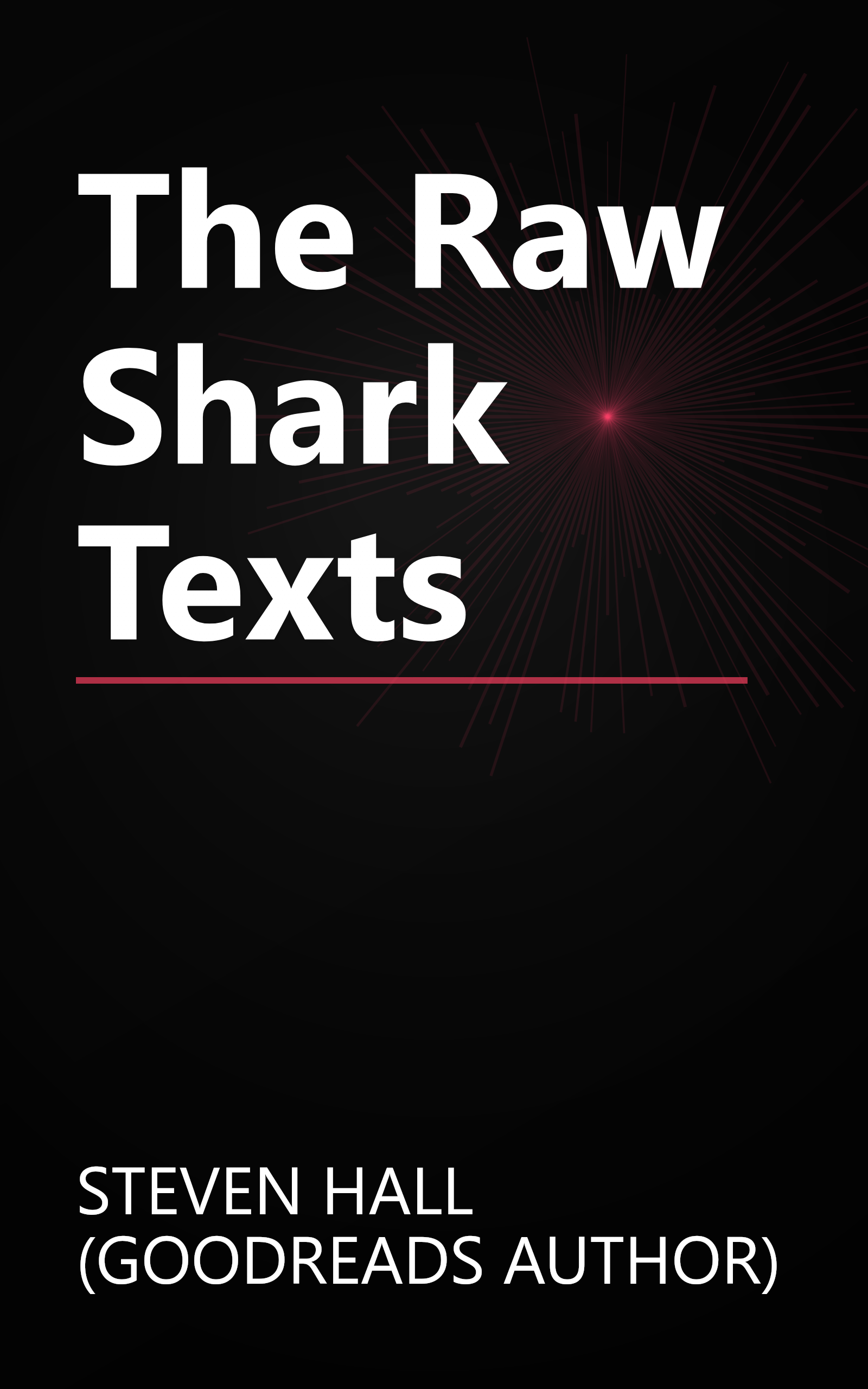 The Raw Shark Texts book cover
