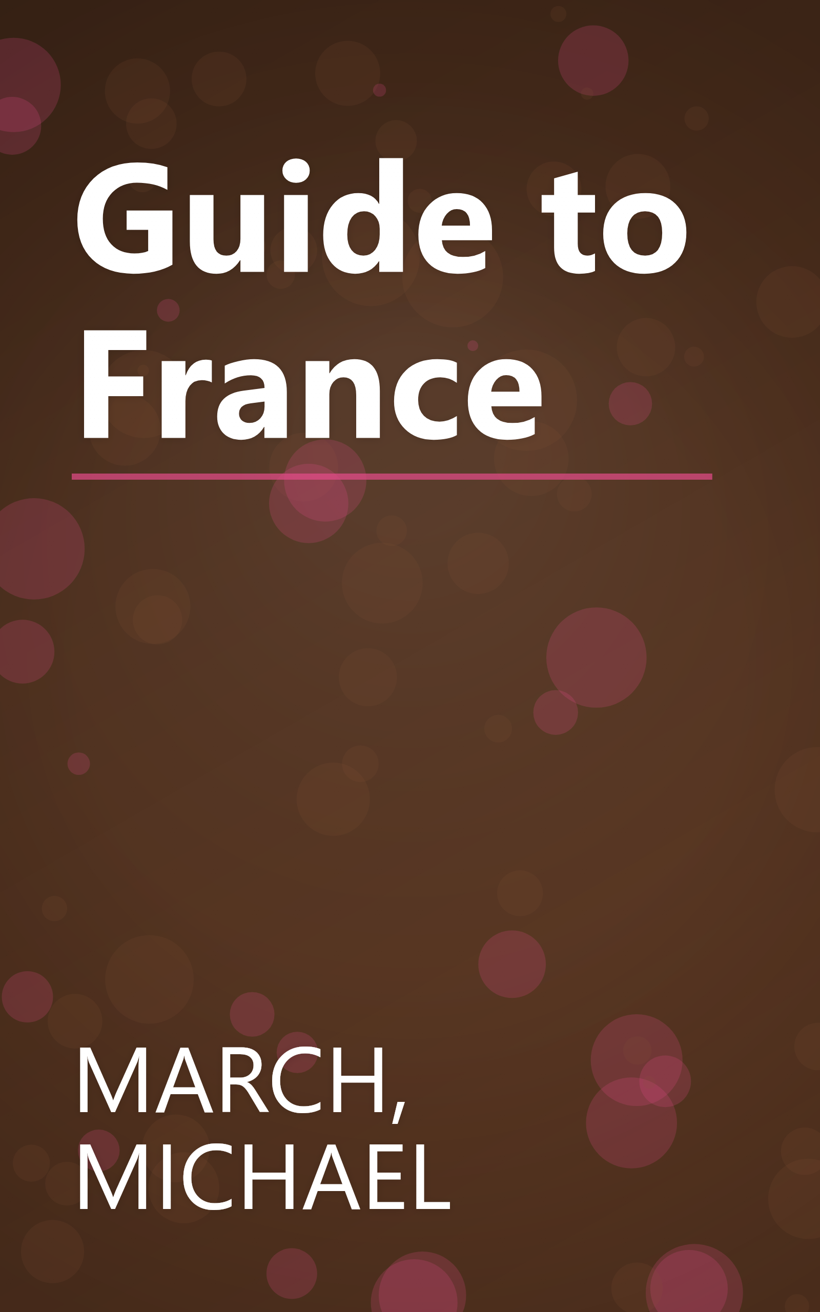 Guide to France book cover