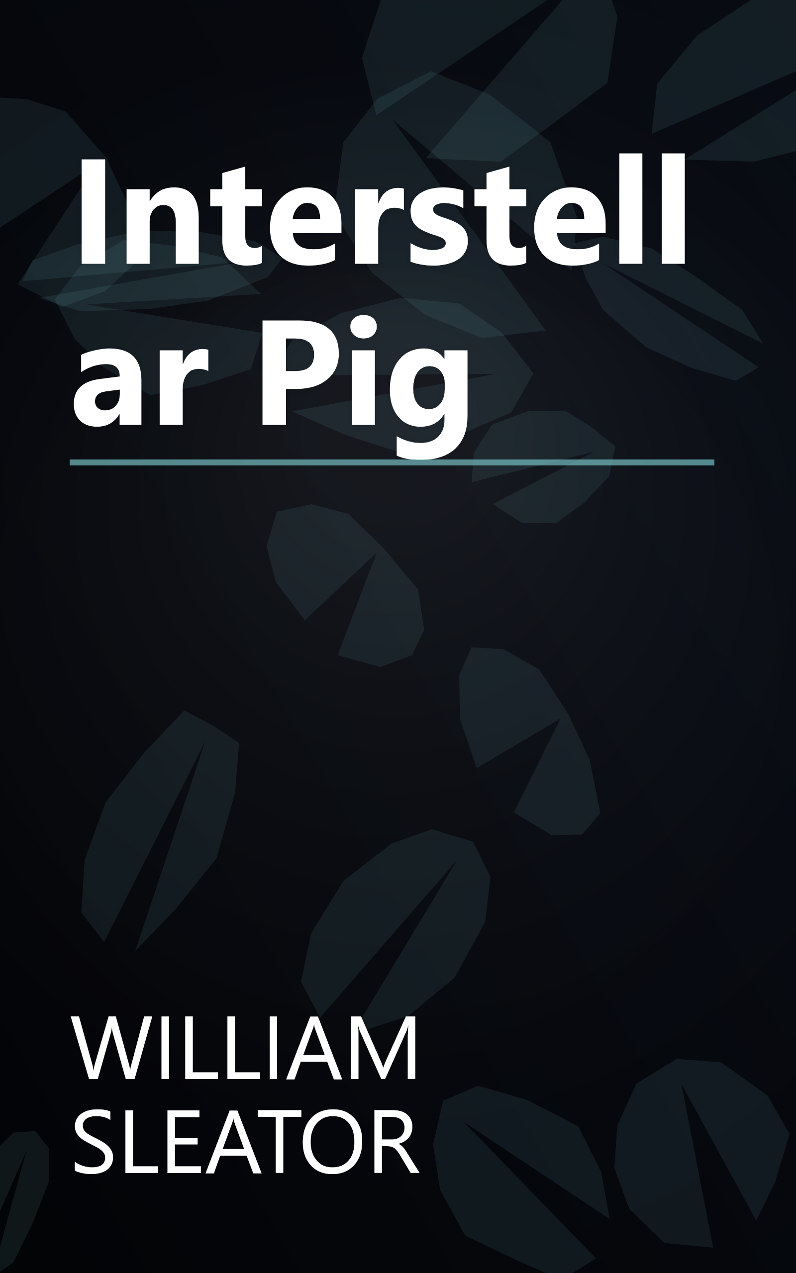 Interstellar Pig book cover