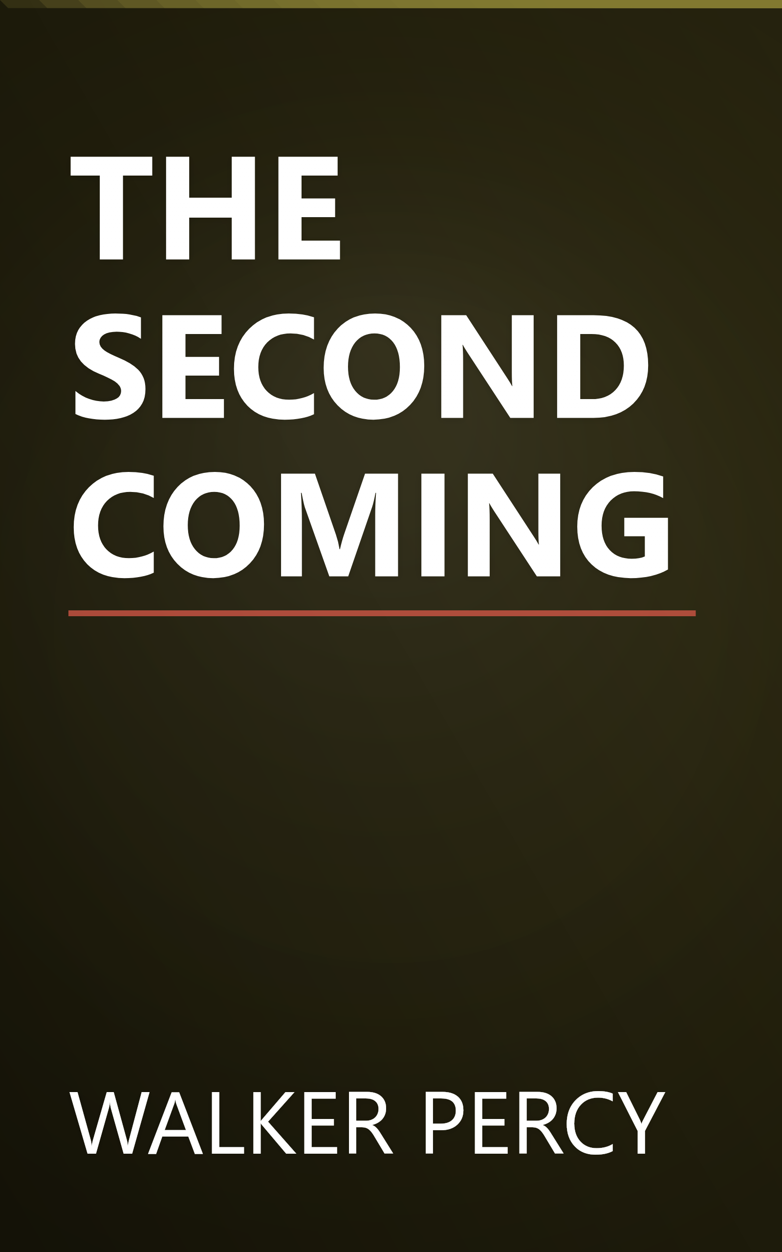 THE SECOND COMING book cover