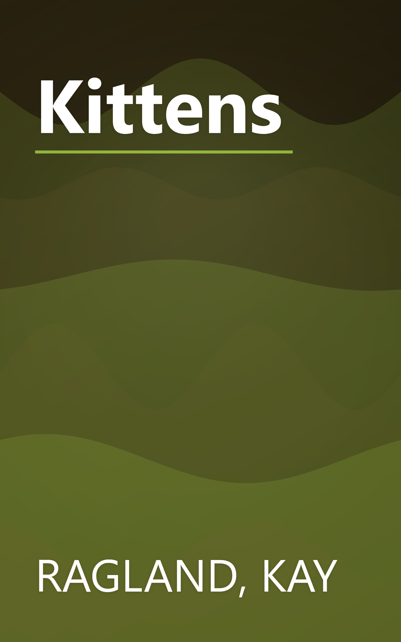 Kittens book cover