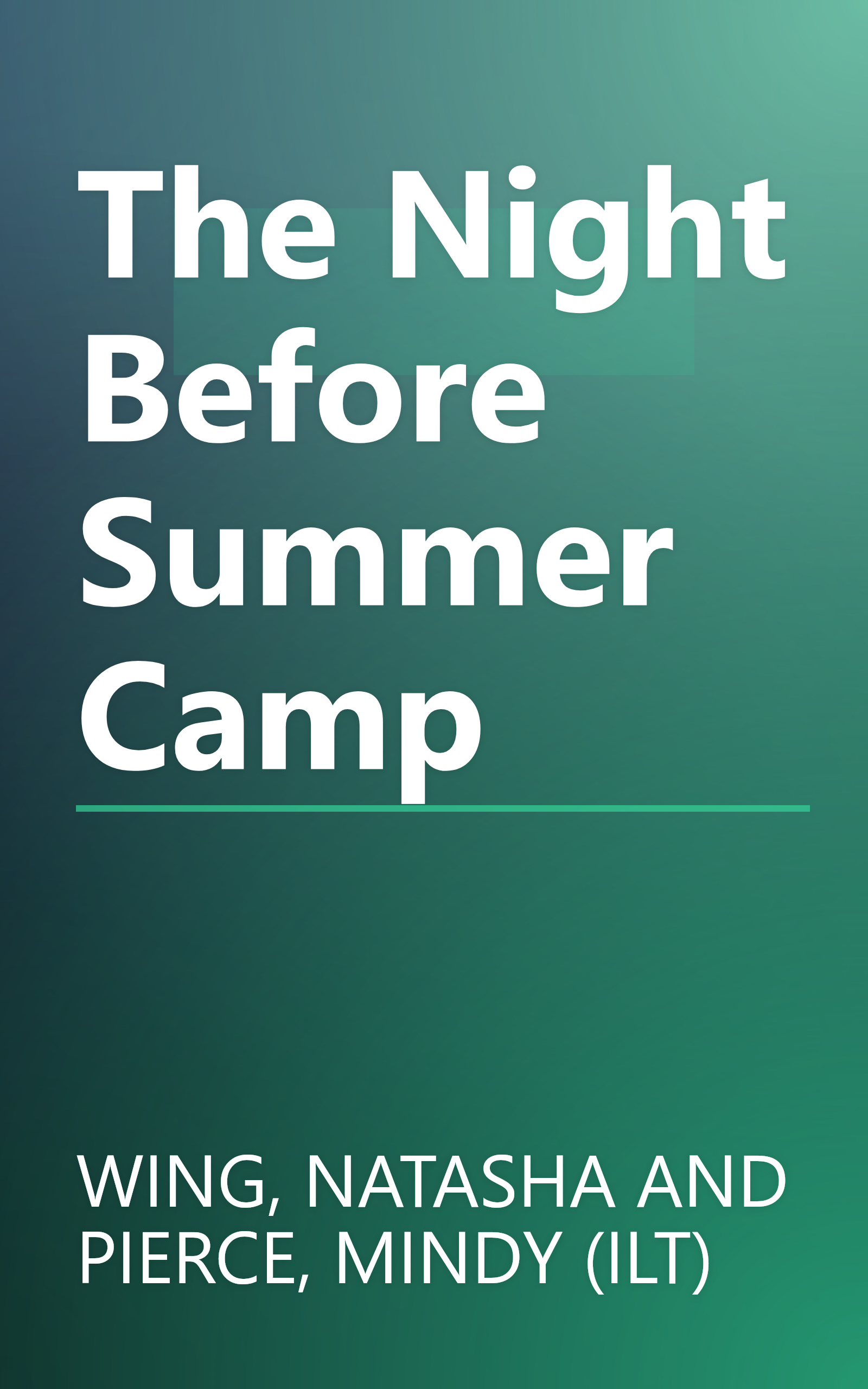 The Night Before Summer Camp book cover