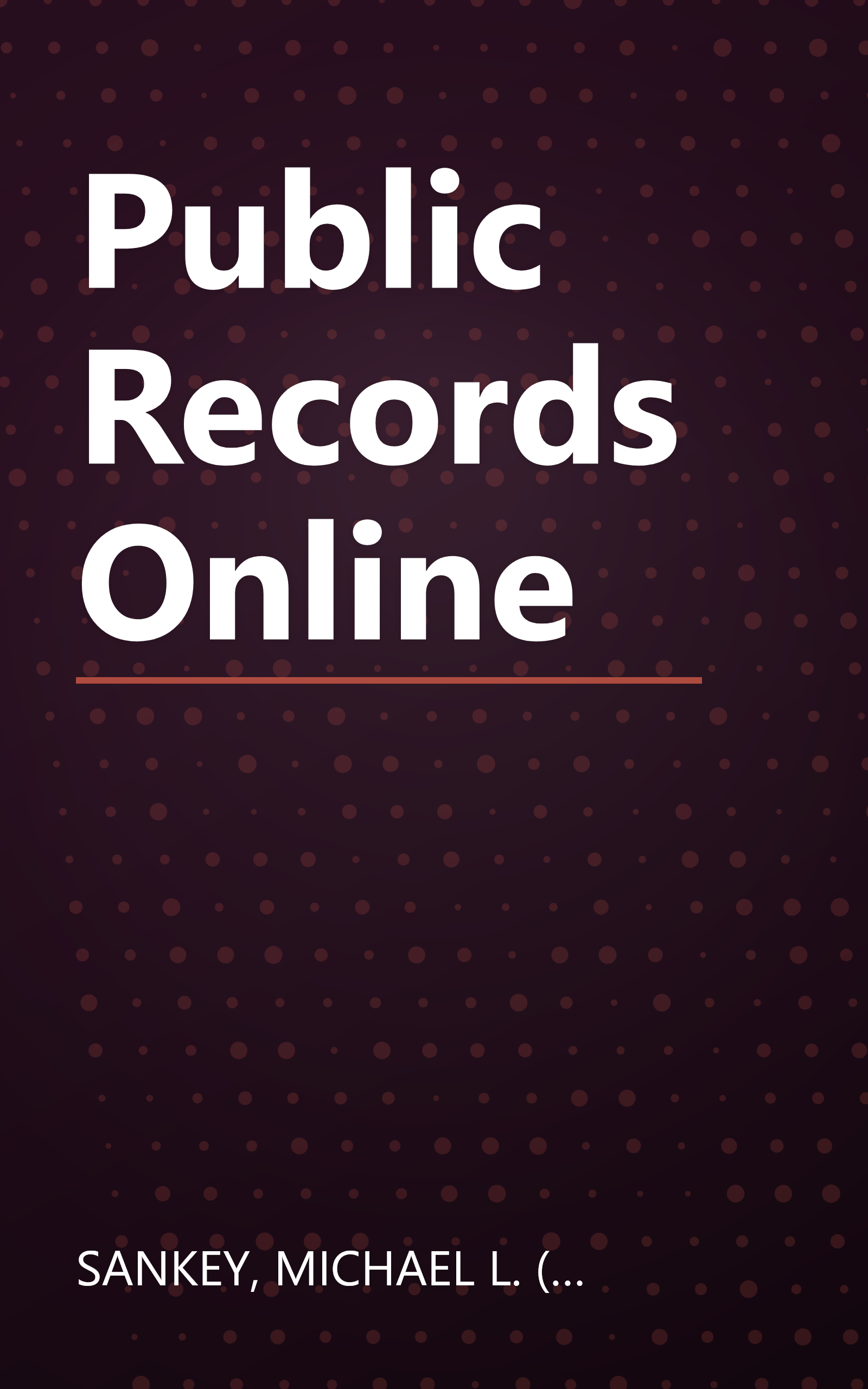 Public Records Online book cover