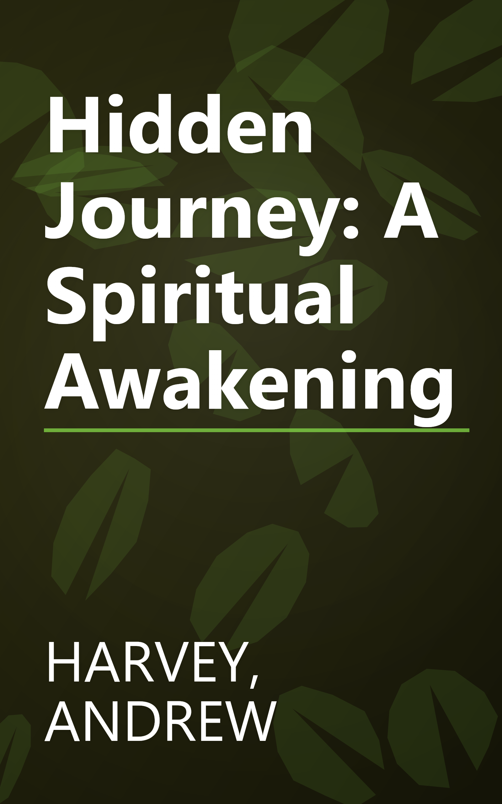 Hidden Journey: A Spiritual Awakening book cover