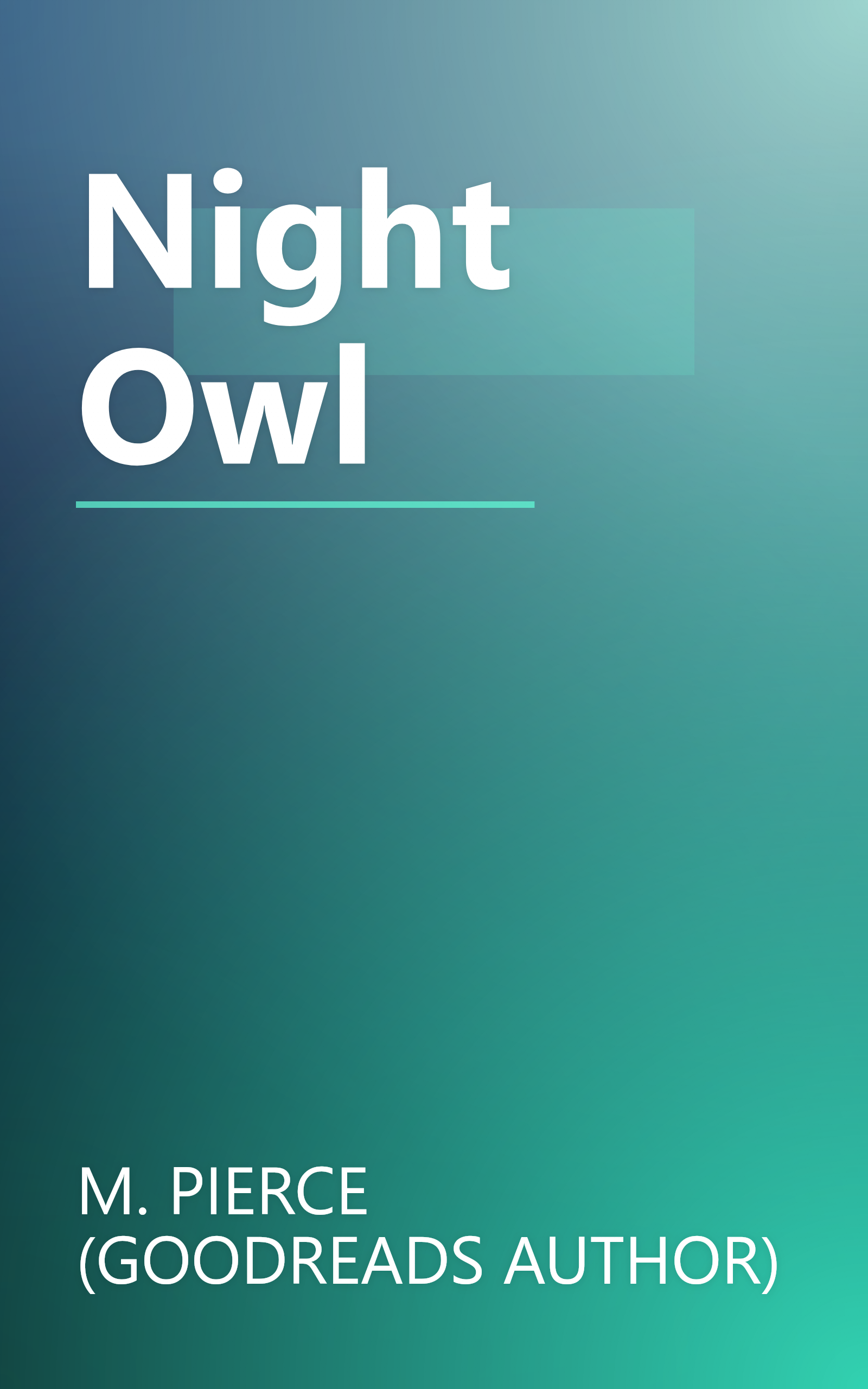 Night Owl book cover