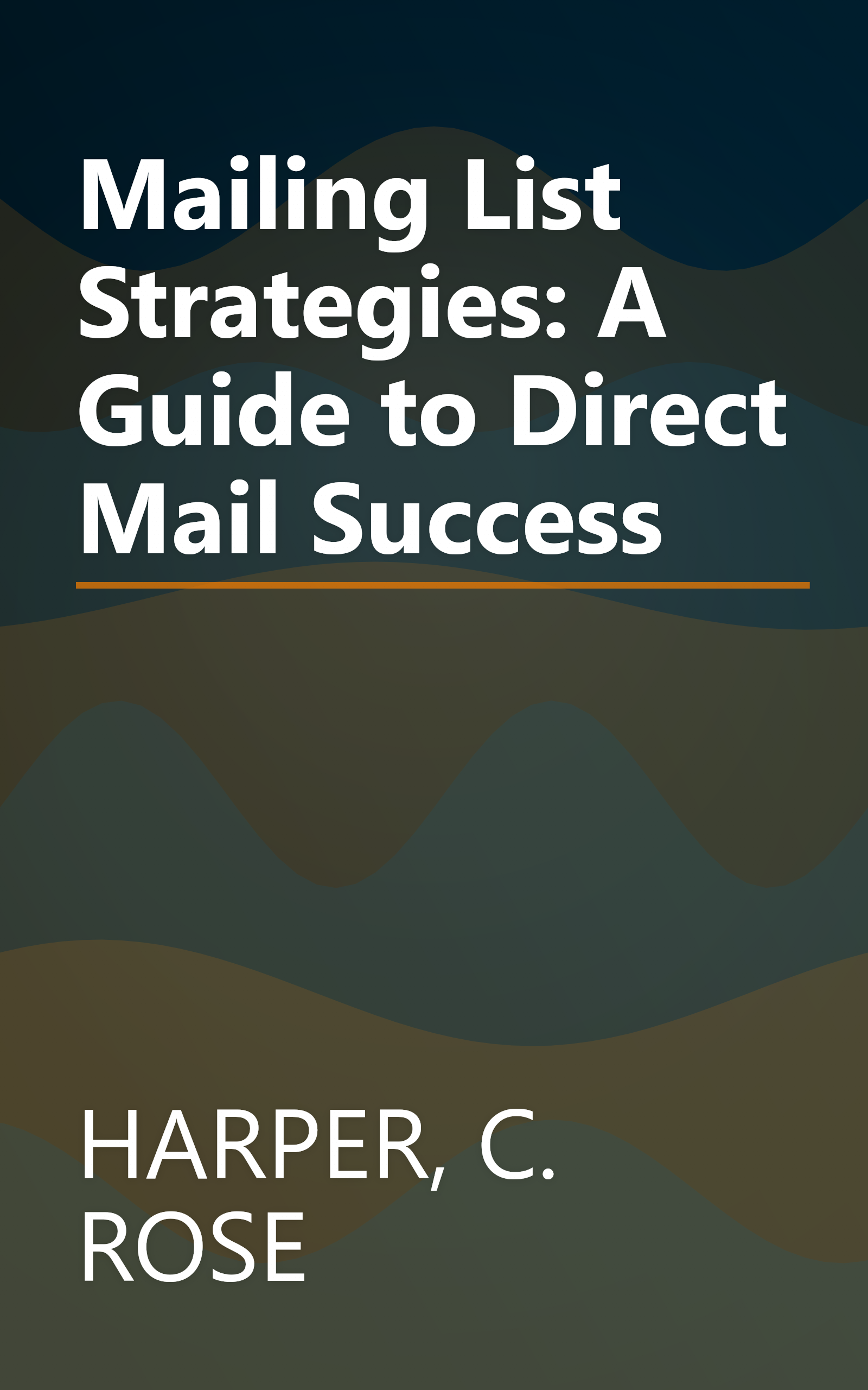 Mailing List Strategies: A Guide to Direct Mail Success book cover