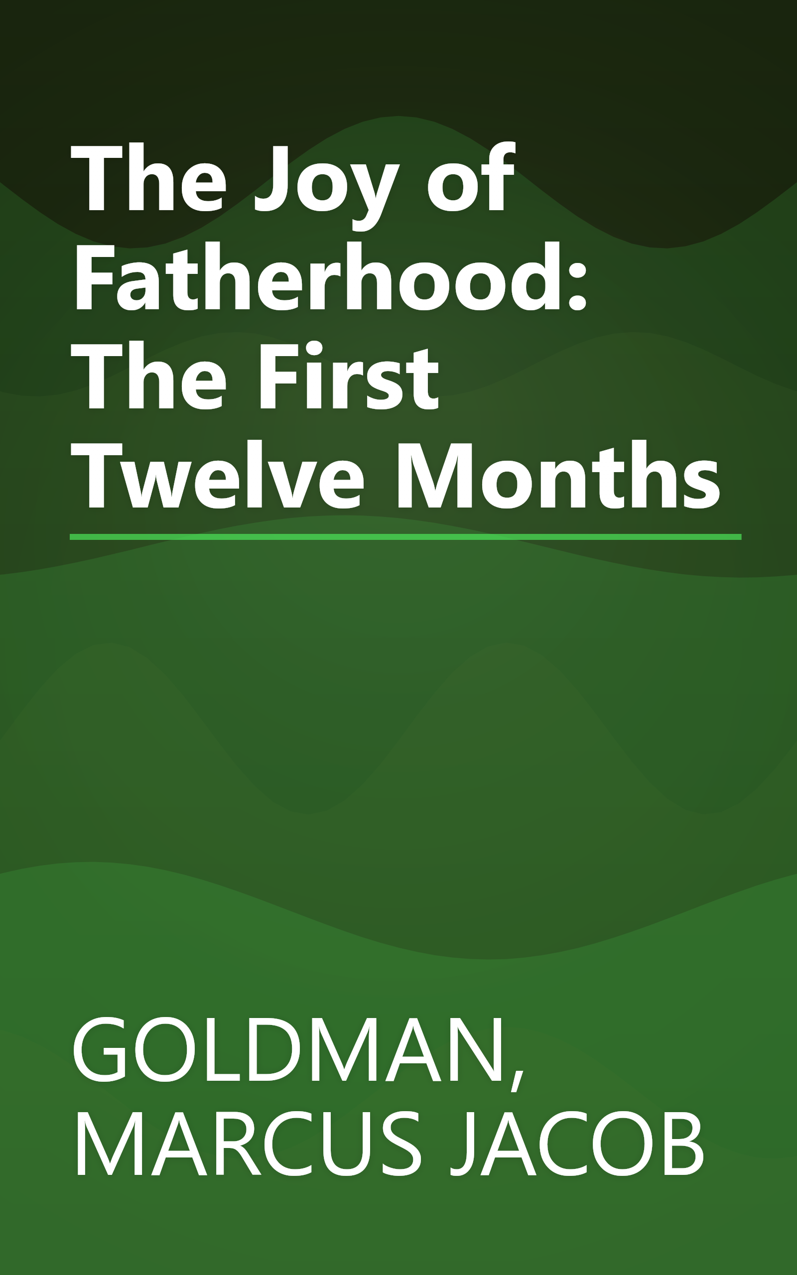 The Joy of Fatherhood: The First Twelve Months book cover