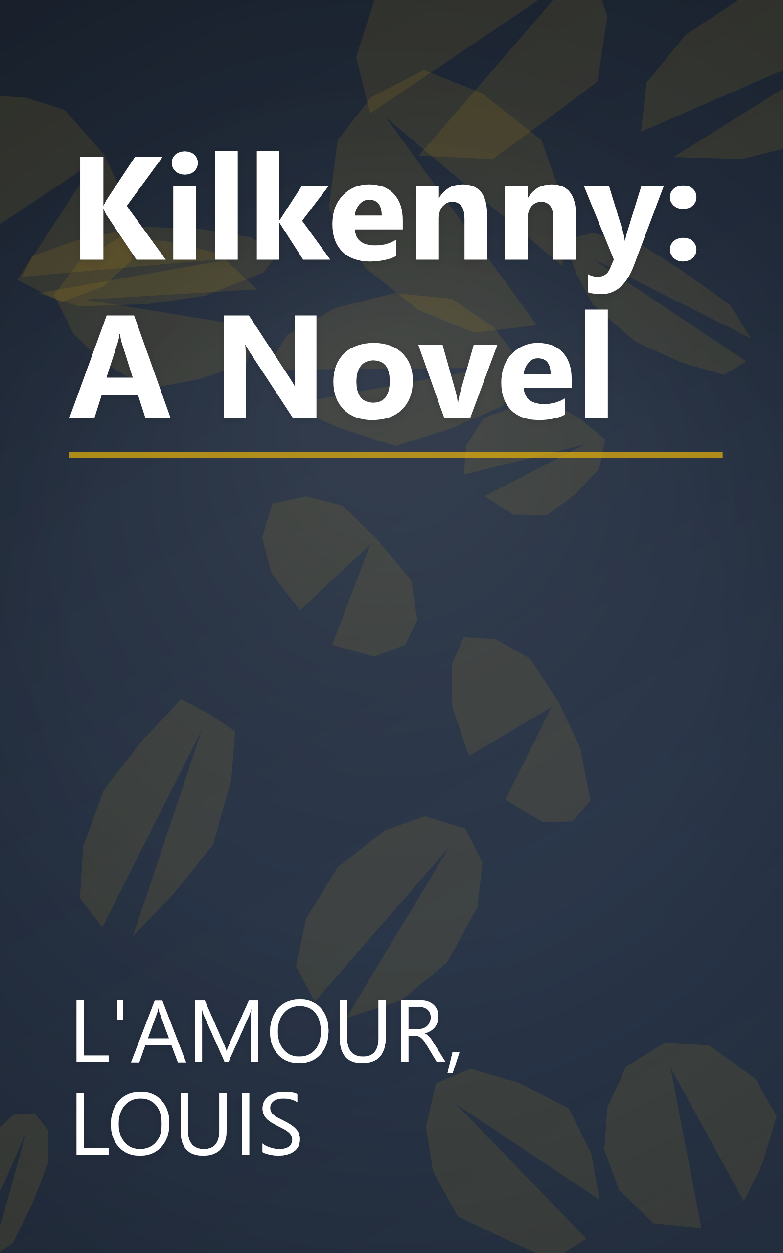 Kilkenny: A Novel book cover
