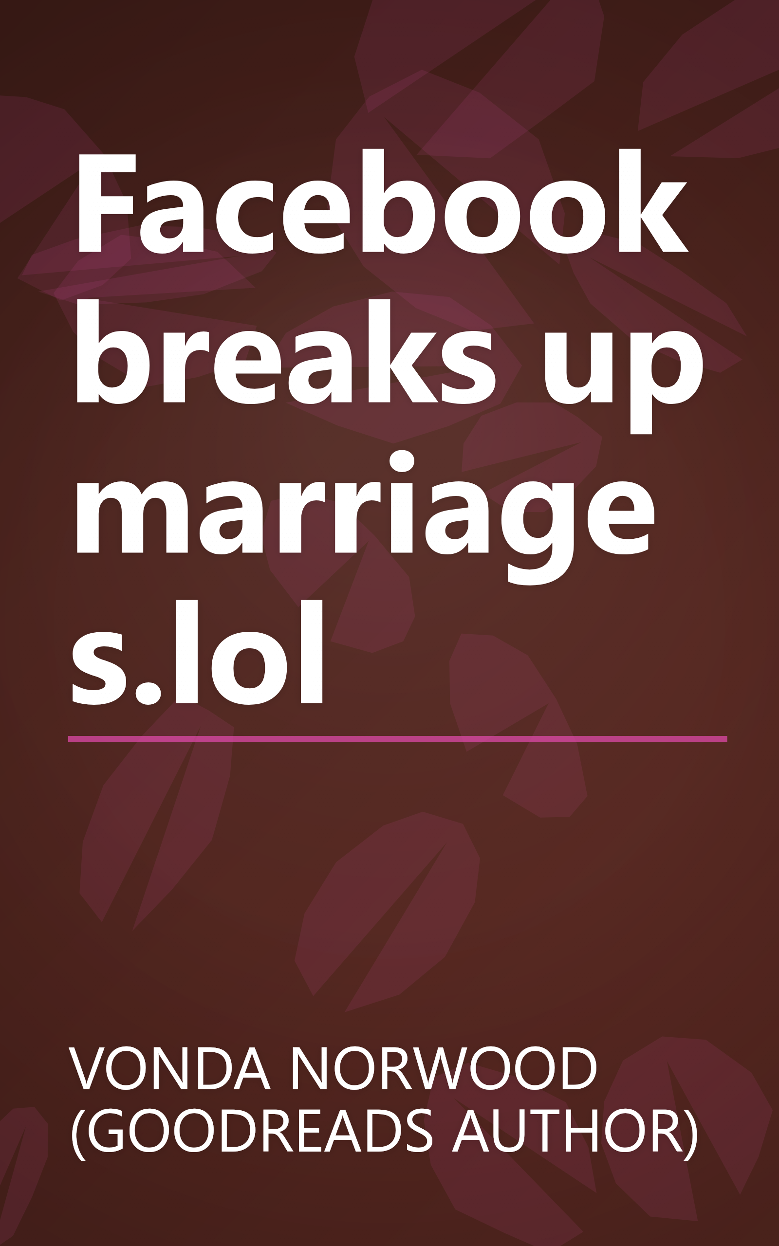 Facebook breaks up marriages.lol book cover