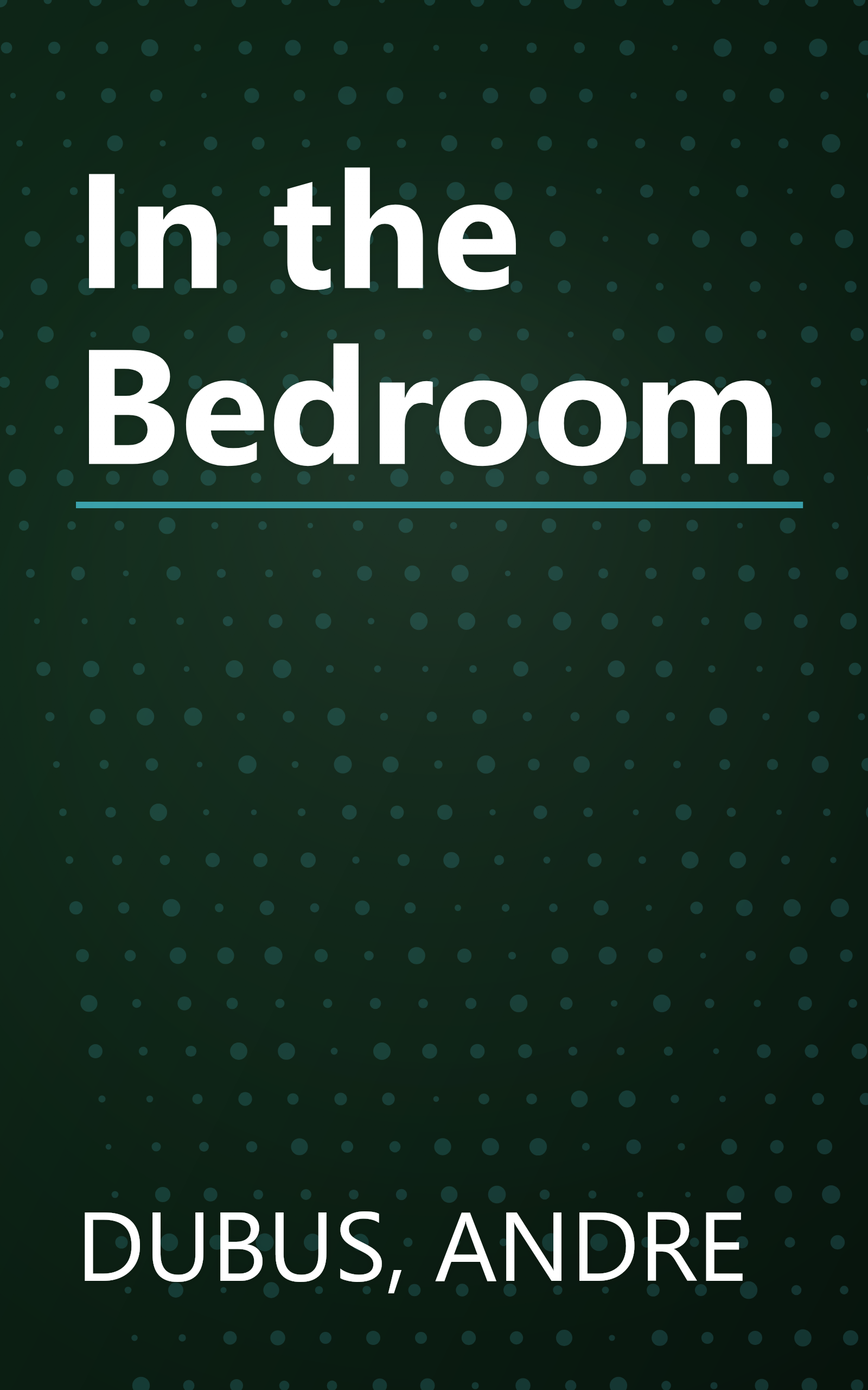 In the Bedroom book cover