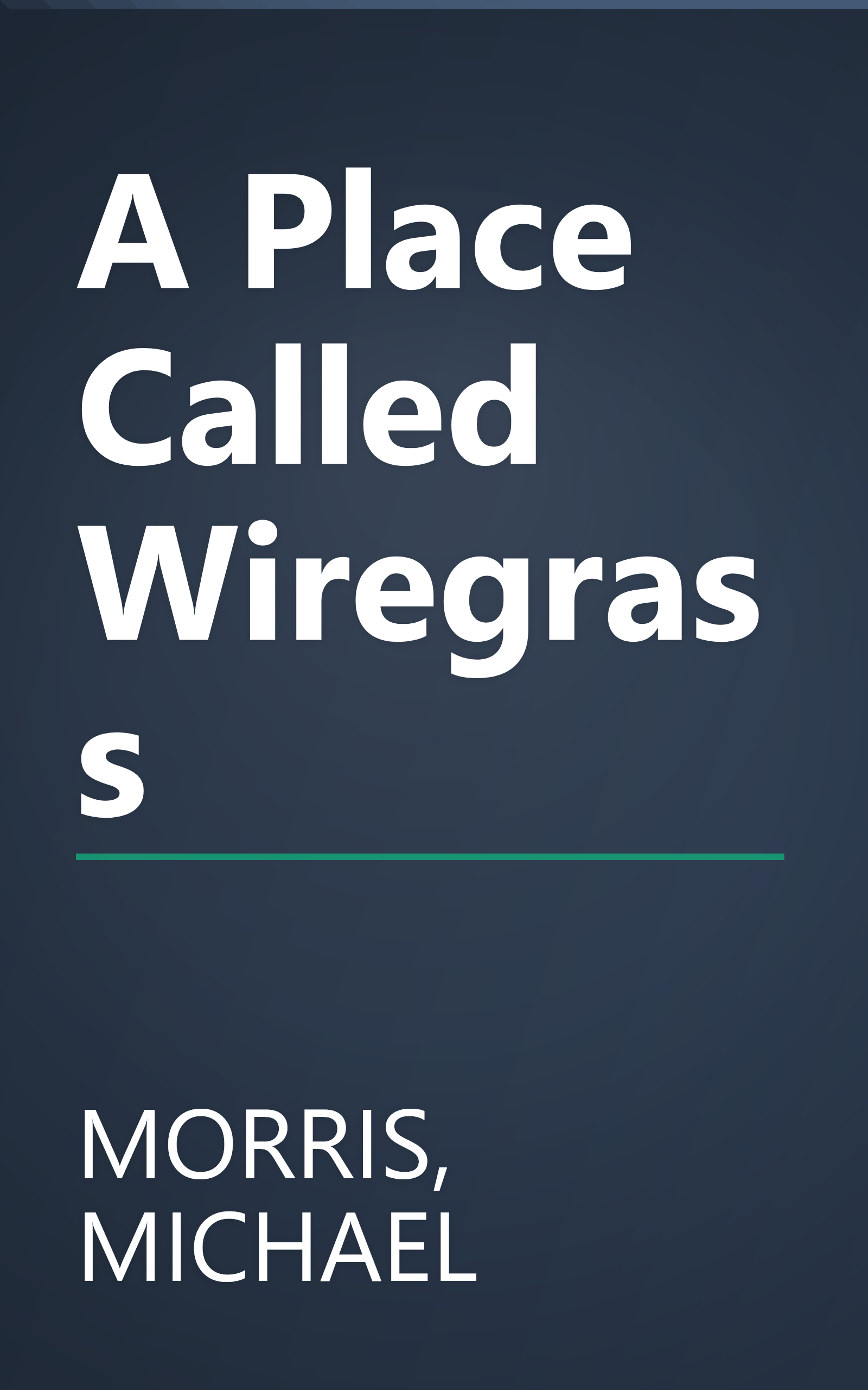 A Place Called Wiregrass book cover