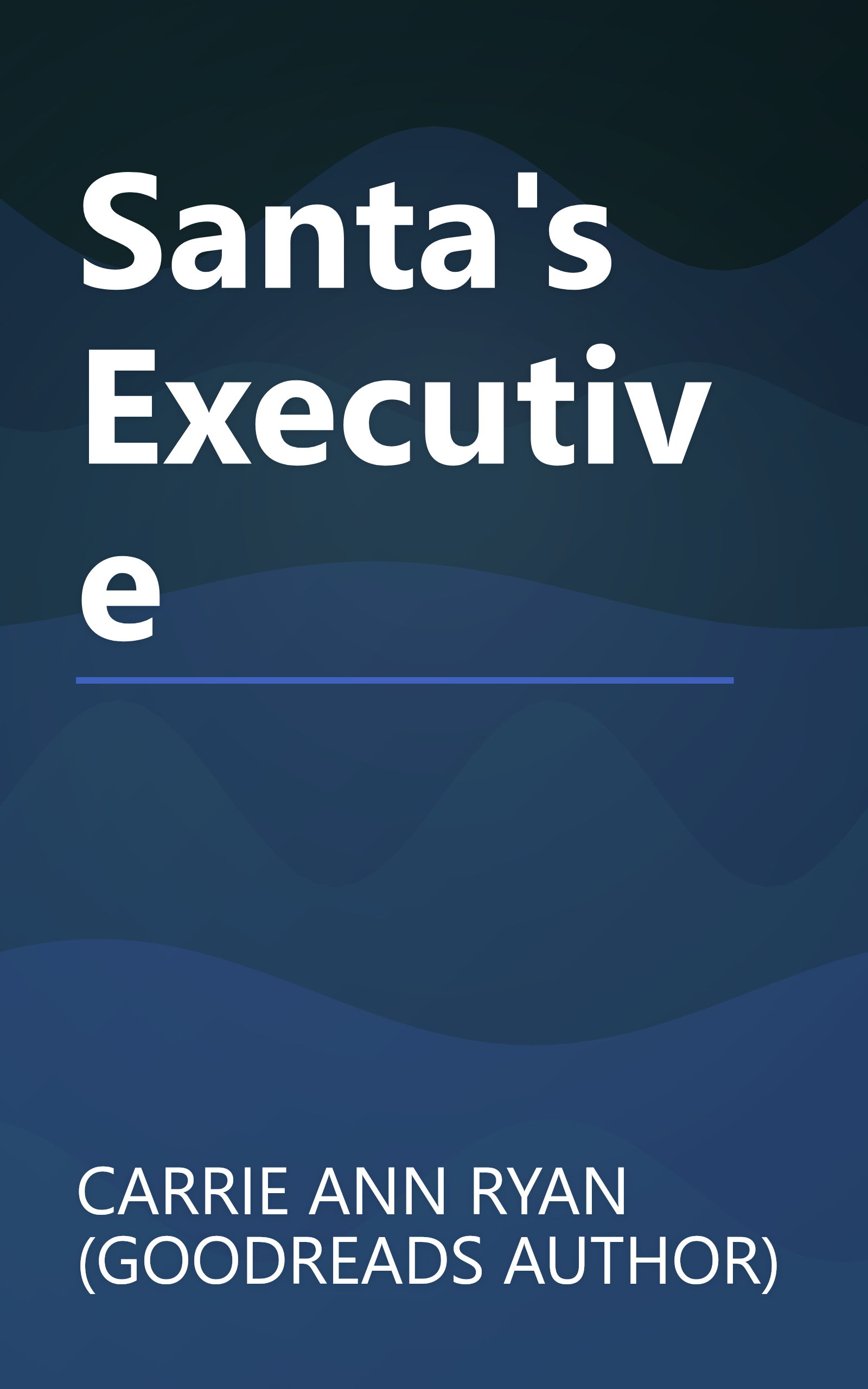 Santa's Executive book cover