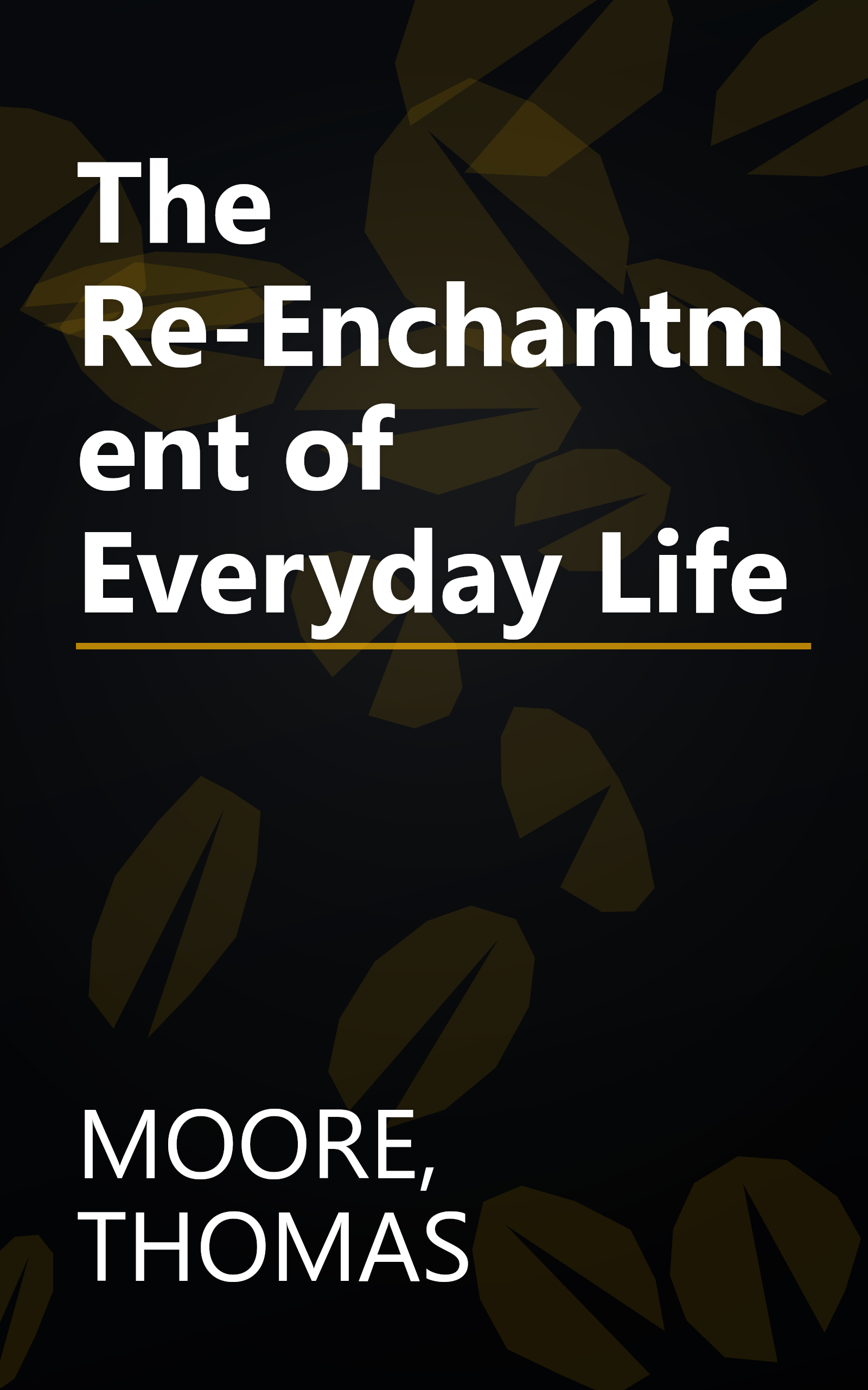 The Re-Enchantment of Everyday Life book cover