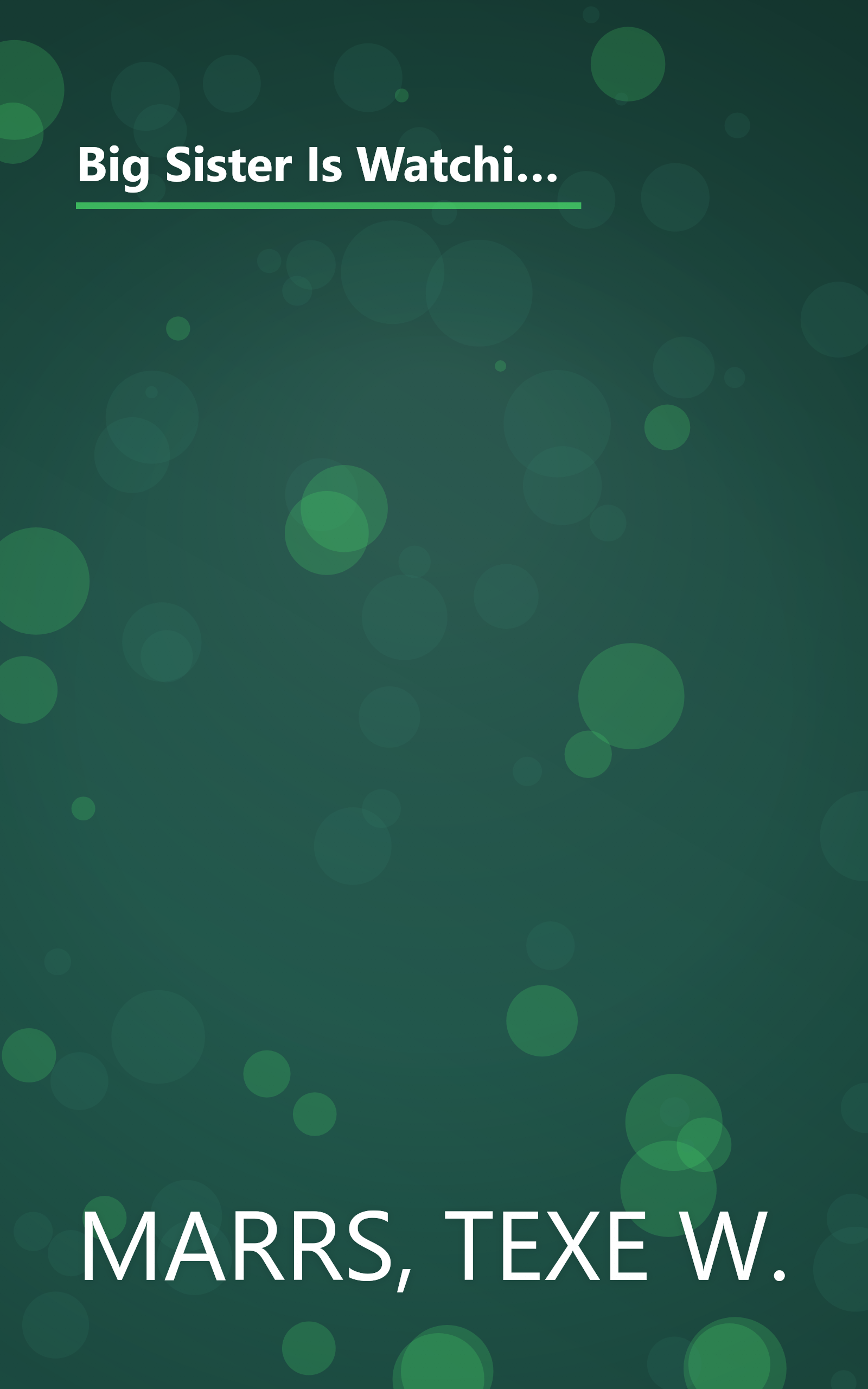 Big Sister Is Watching You: Hillary Clinton and the White House Feminists Who Now Control America--And Tell the President What to Do book cover