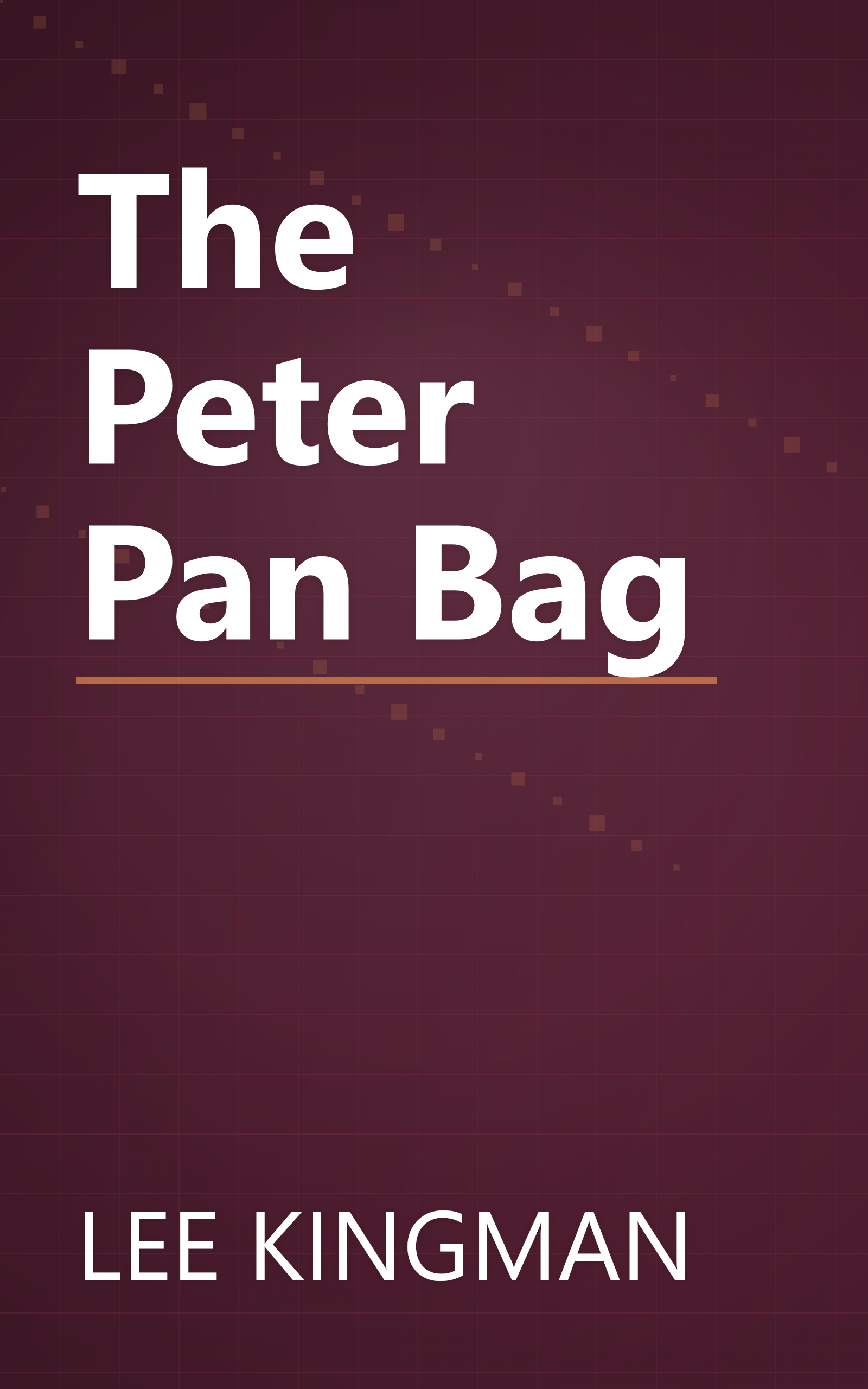 The Peter Pan Bag book cover