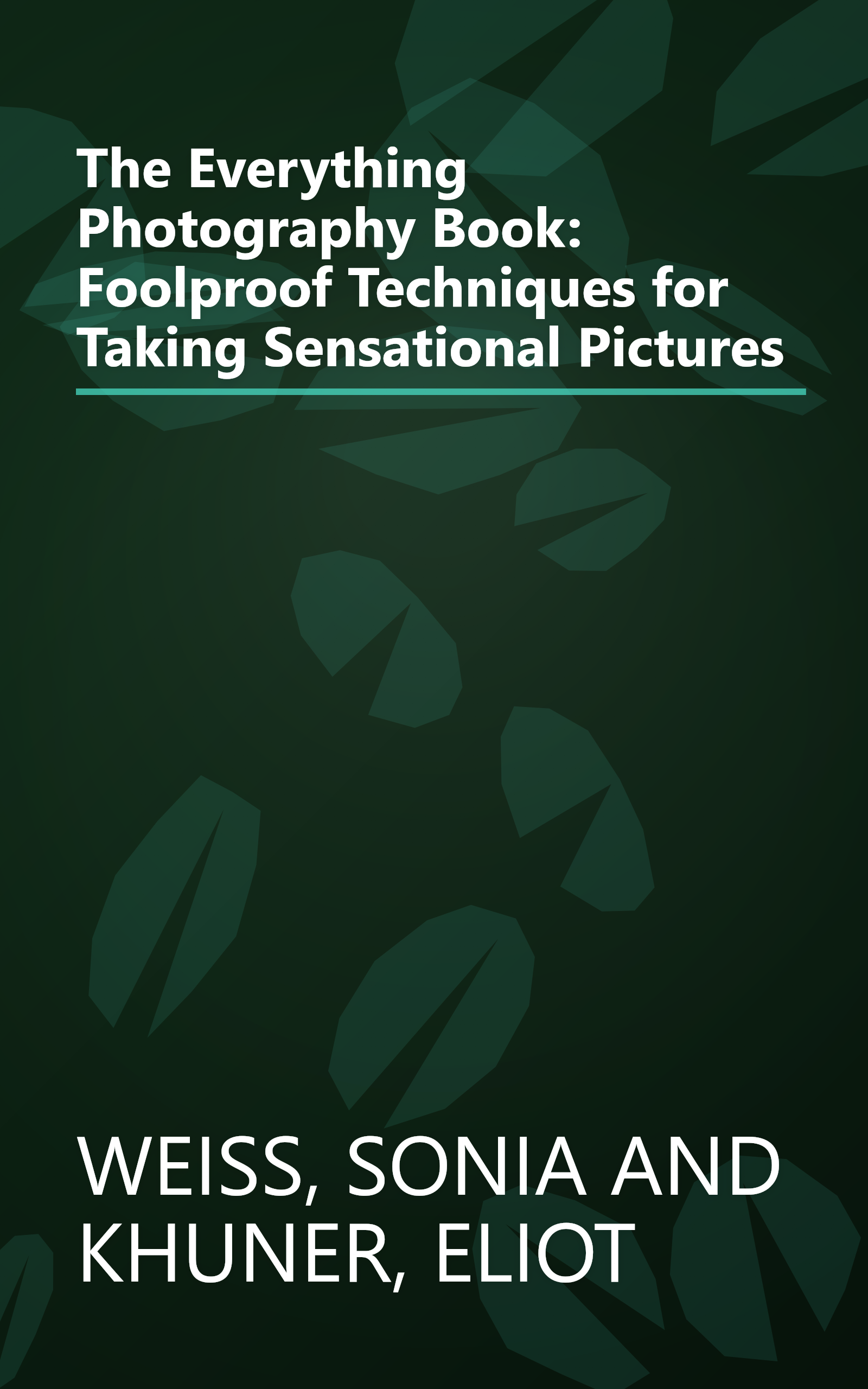 The Everything Photography Book: Foolproof Techniques for Taking Sensational Pictures book cover