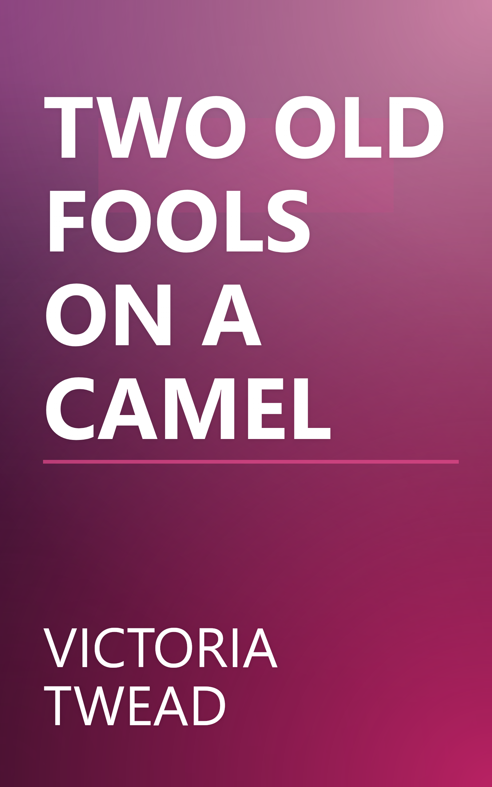 TWO OLD FOOLS ON A CAMEL book cover