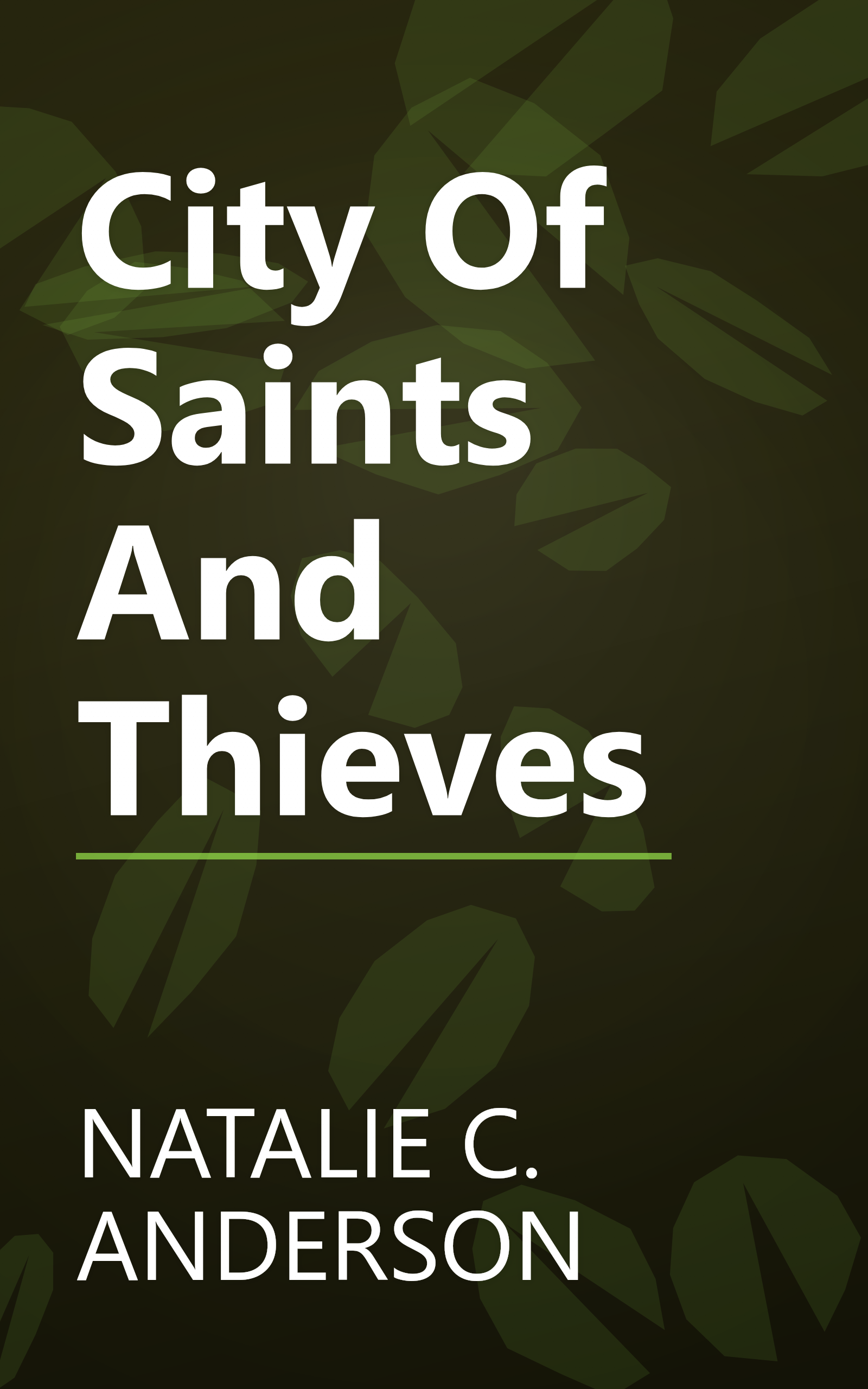 City Of Saints And Thieves book cover