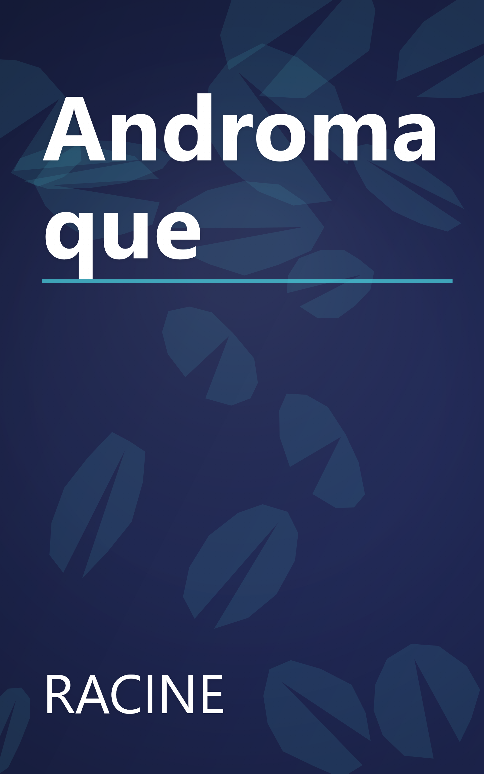 Andromaque book cover