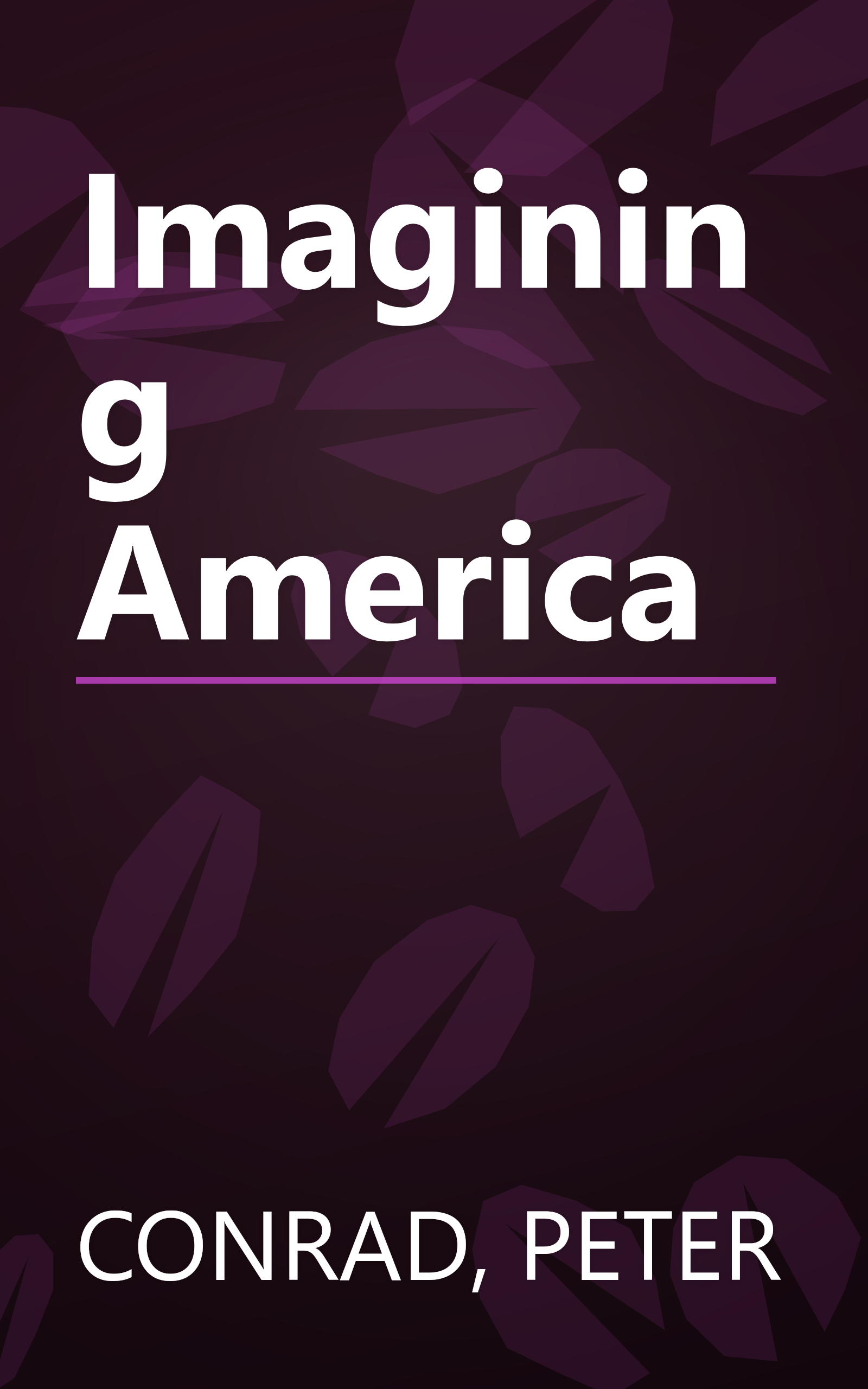 Imagining America book cover