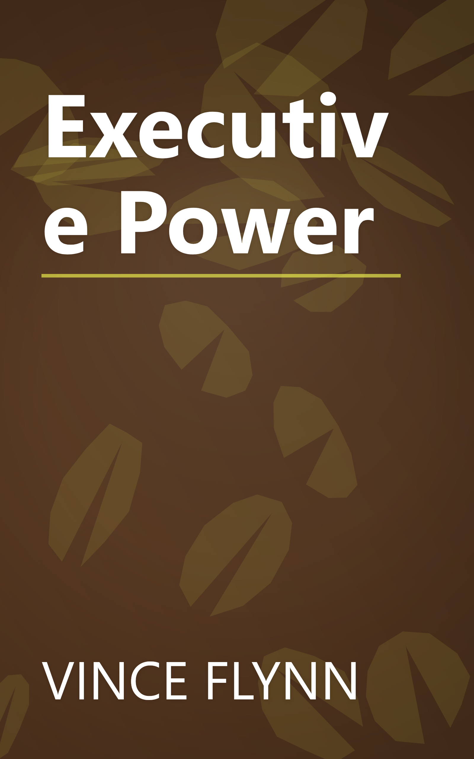 Executive Power book cover
