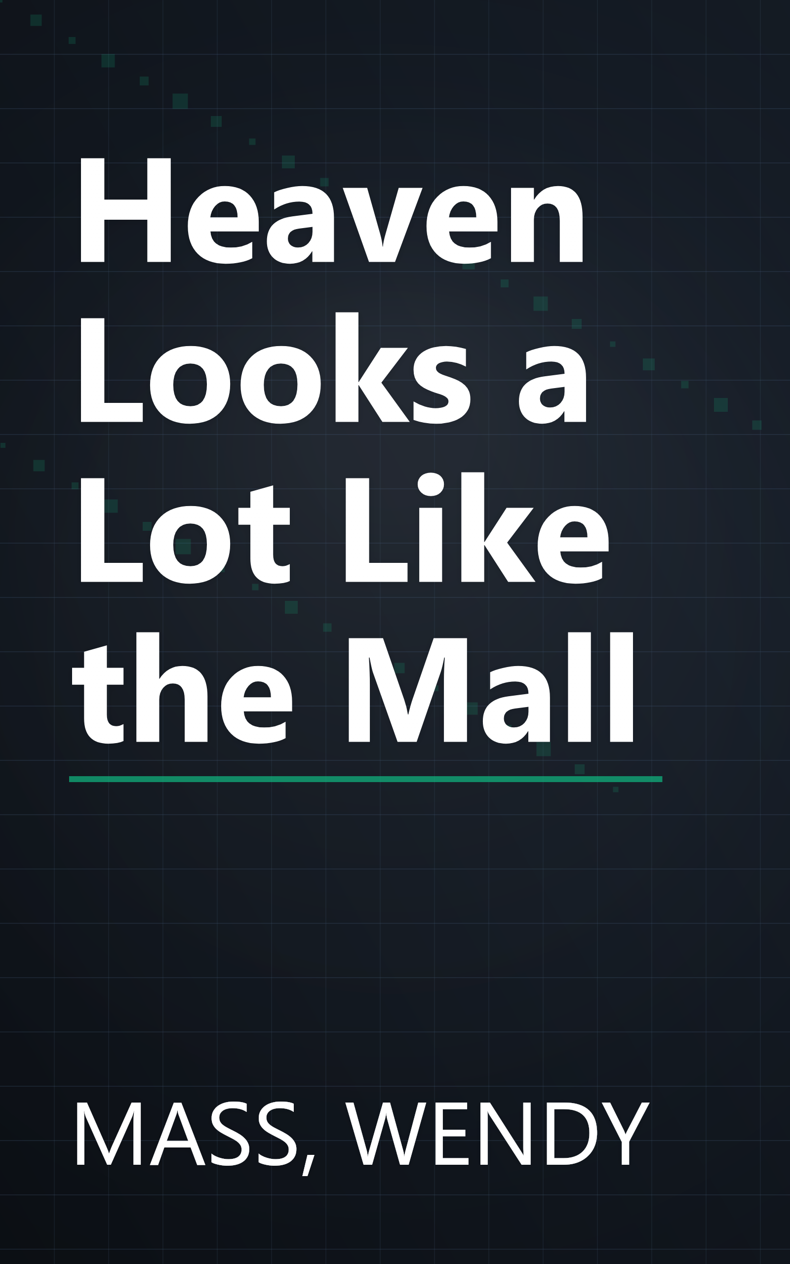 Heaven Looks a Lot Like the Mall book cover