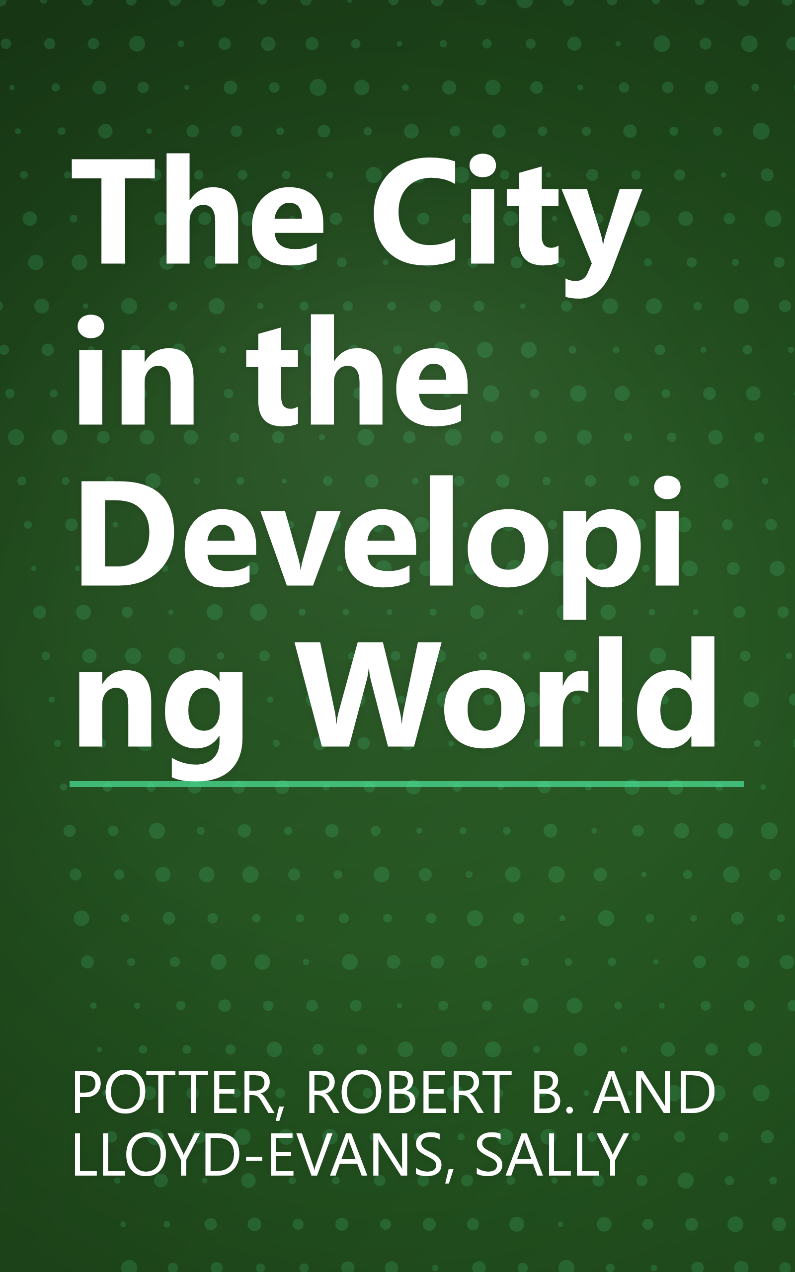 The City in the Developing World book cover