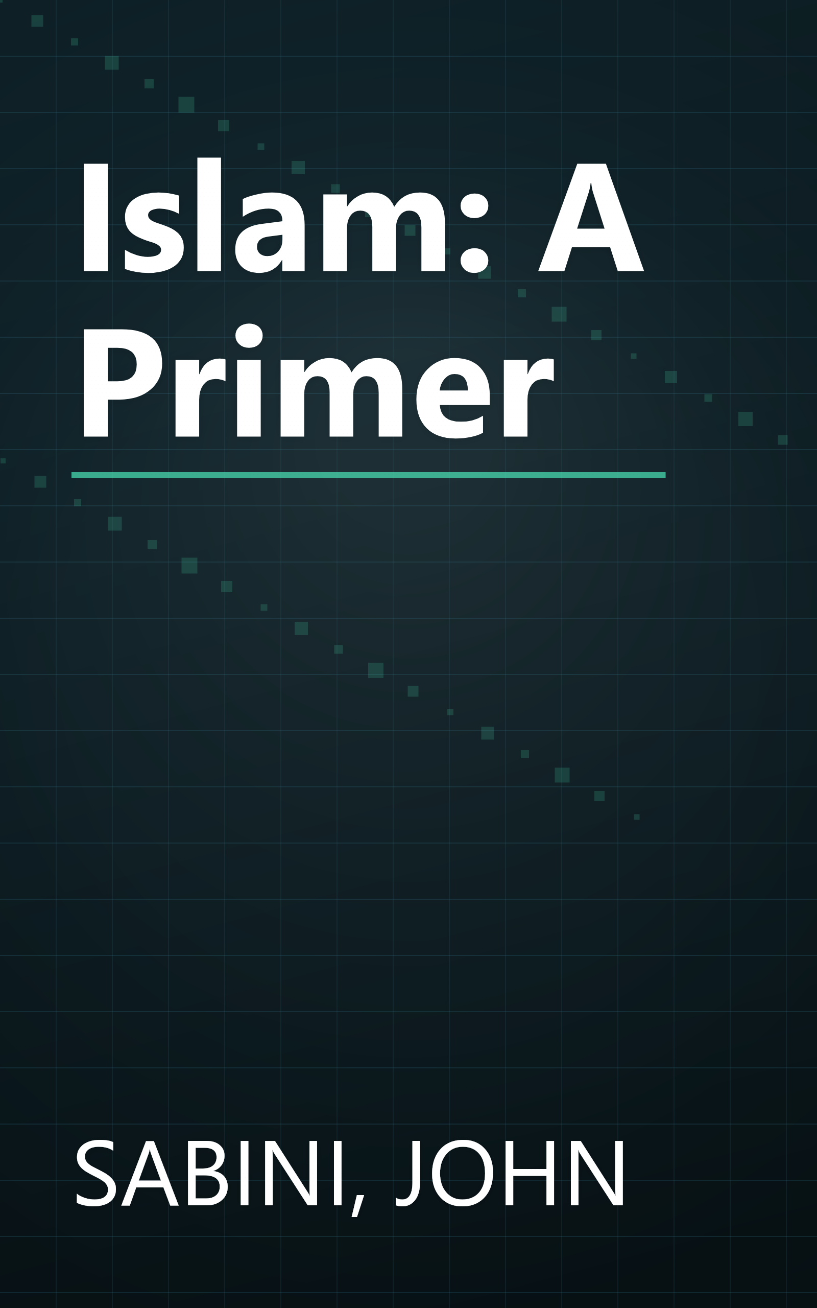 Islam: A Primer book cover