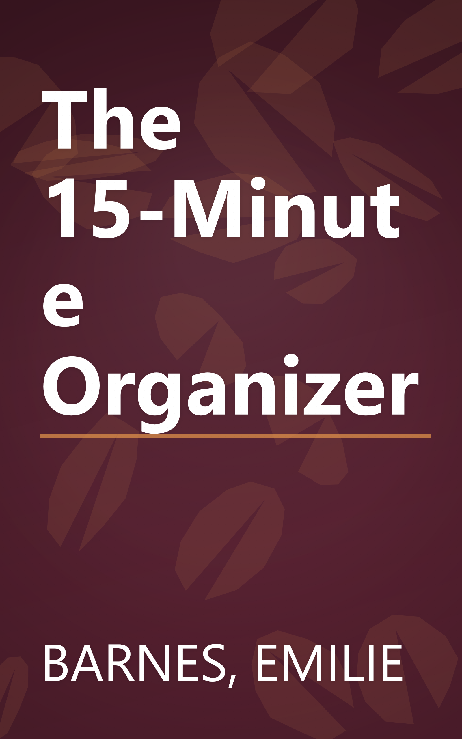 The 15-Minute Organizer book cover