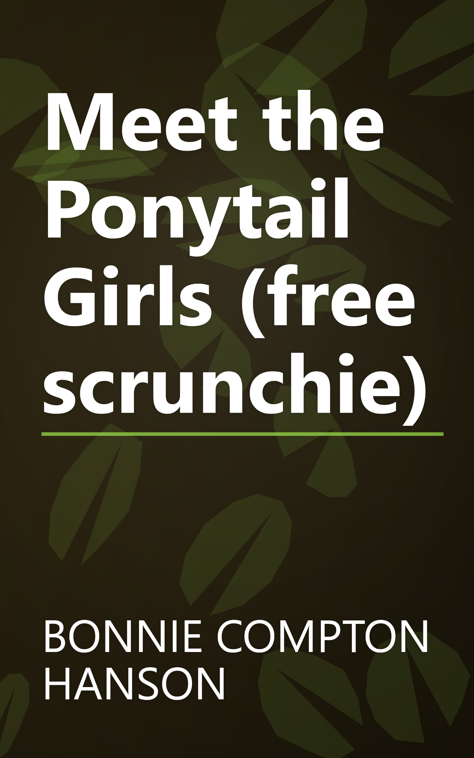 Meet the Ponytail Girls (free scrunchie) book cover