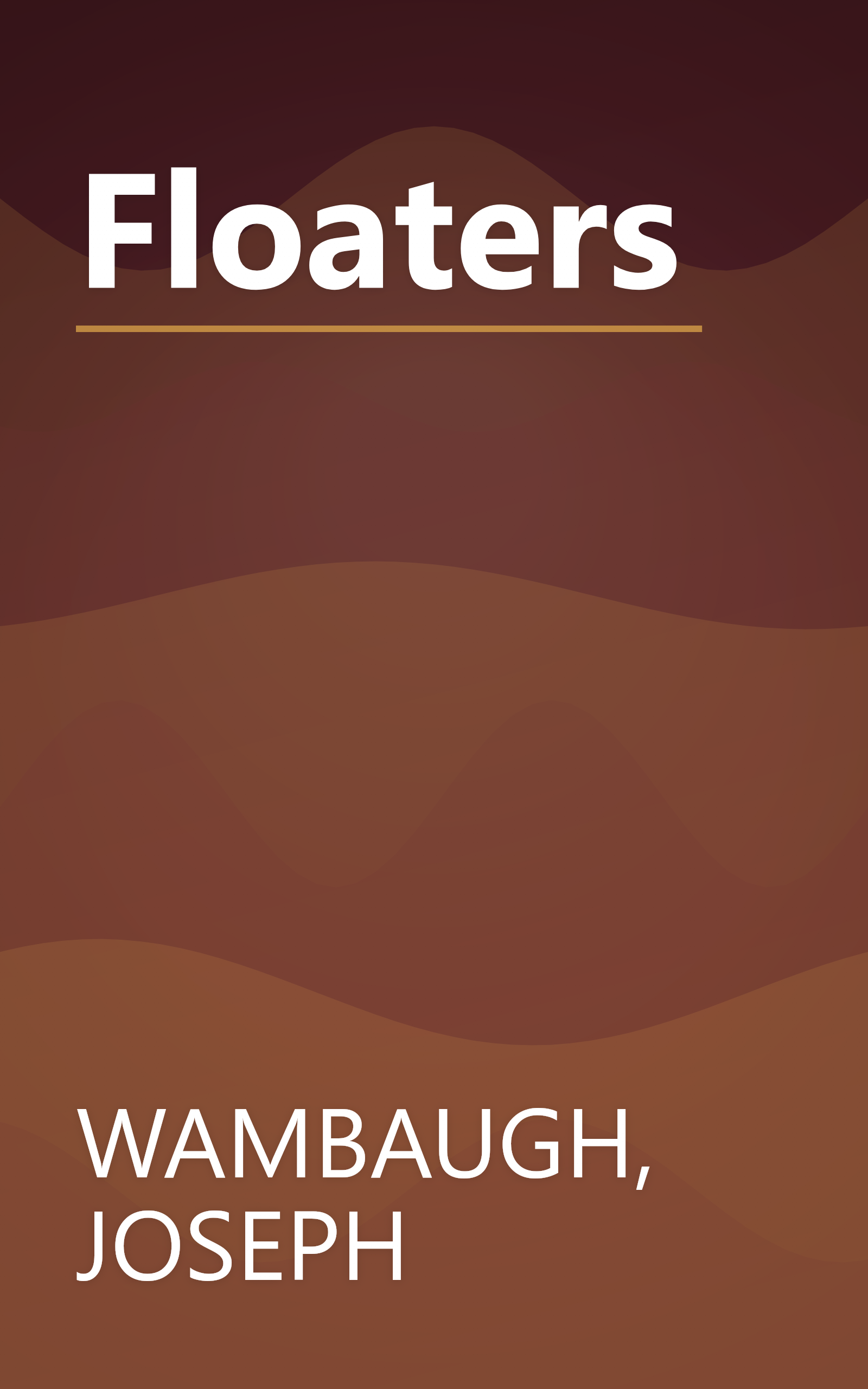 Floaters book cover
