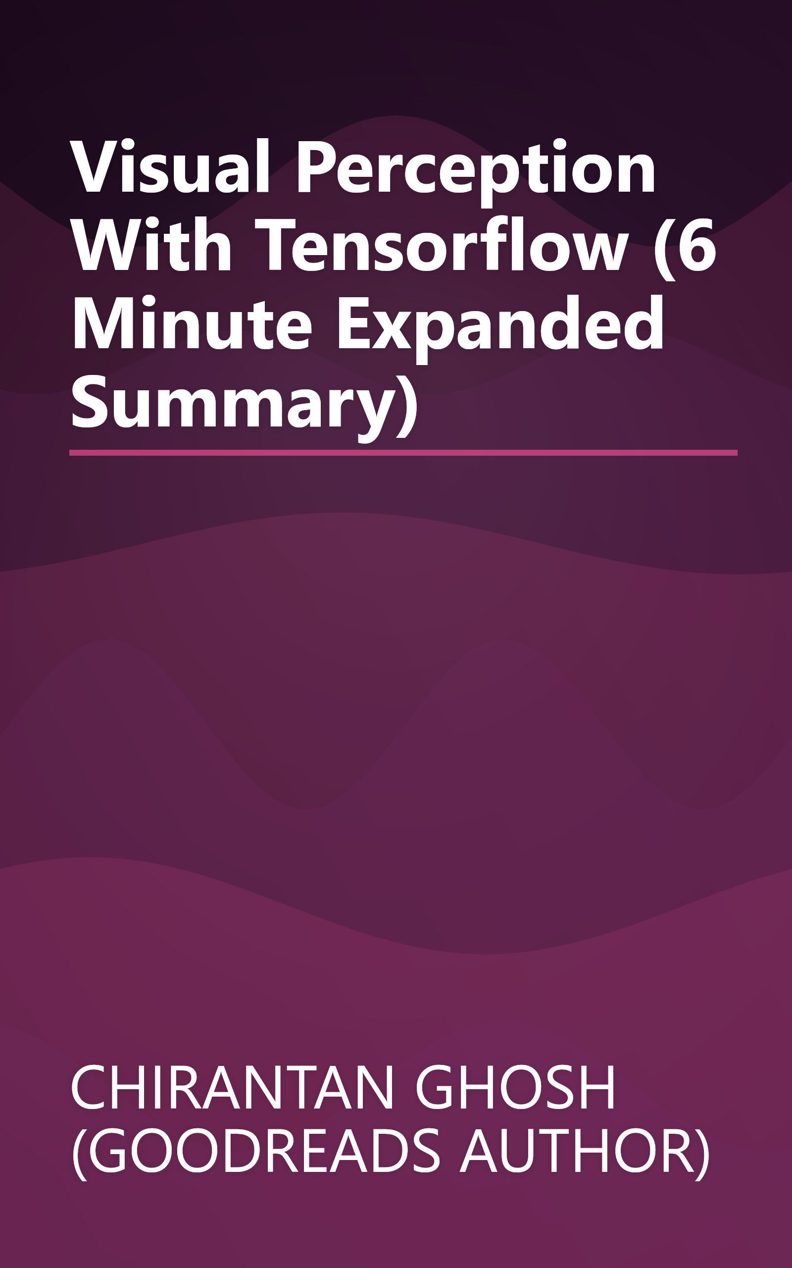 Visual Perception With Tensorflow (6 Minute   Expanded Summary) book cover